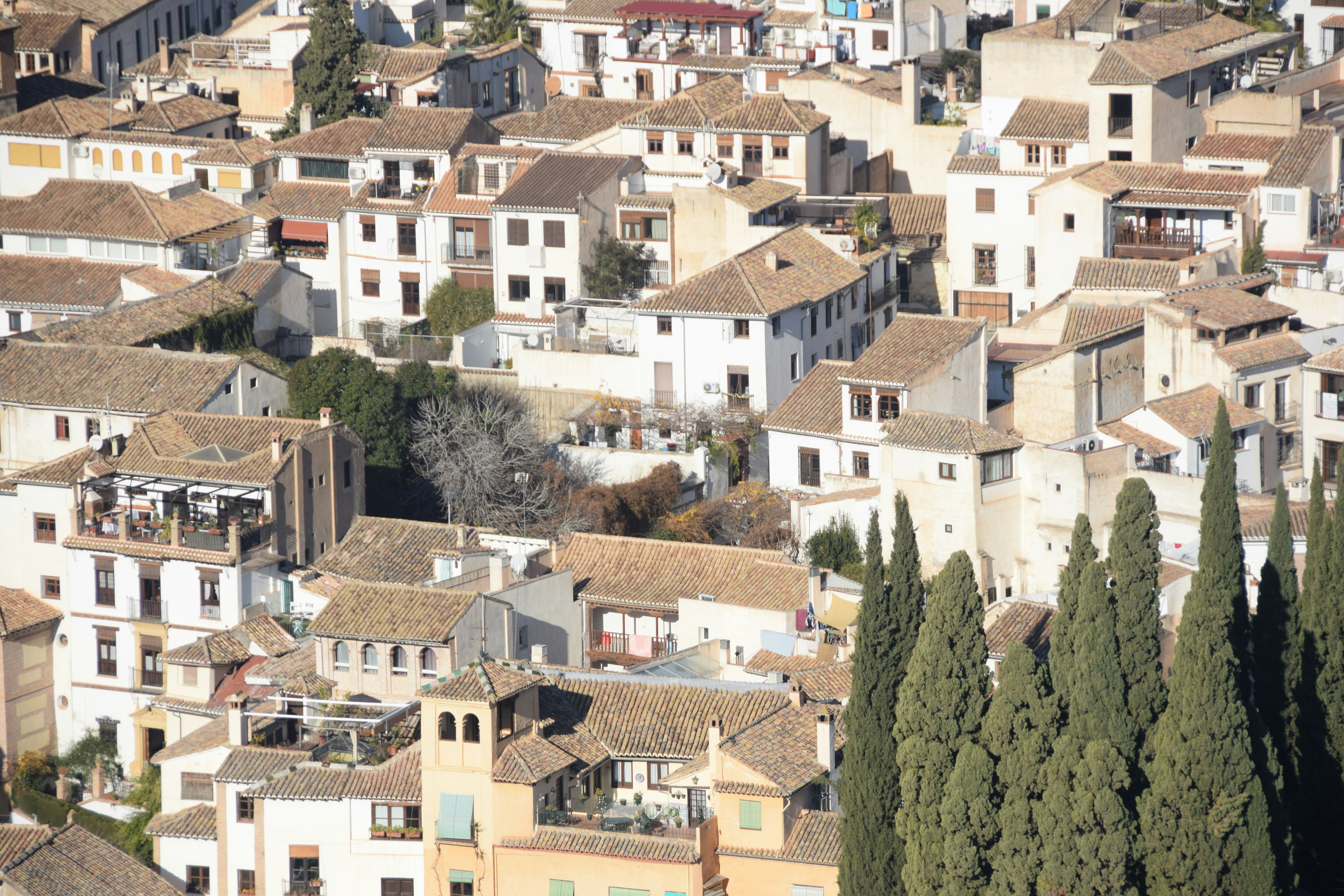 Rooftops and trees in a dense european city