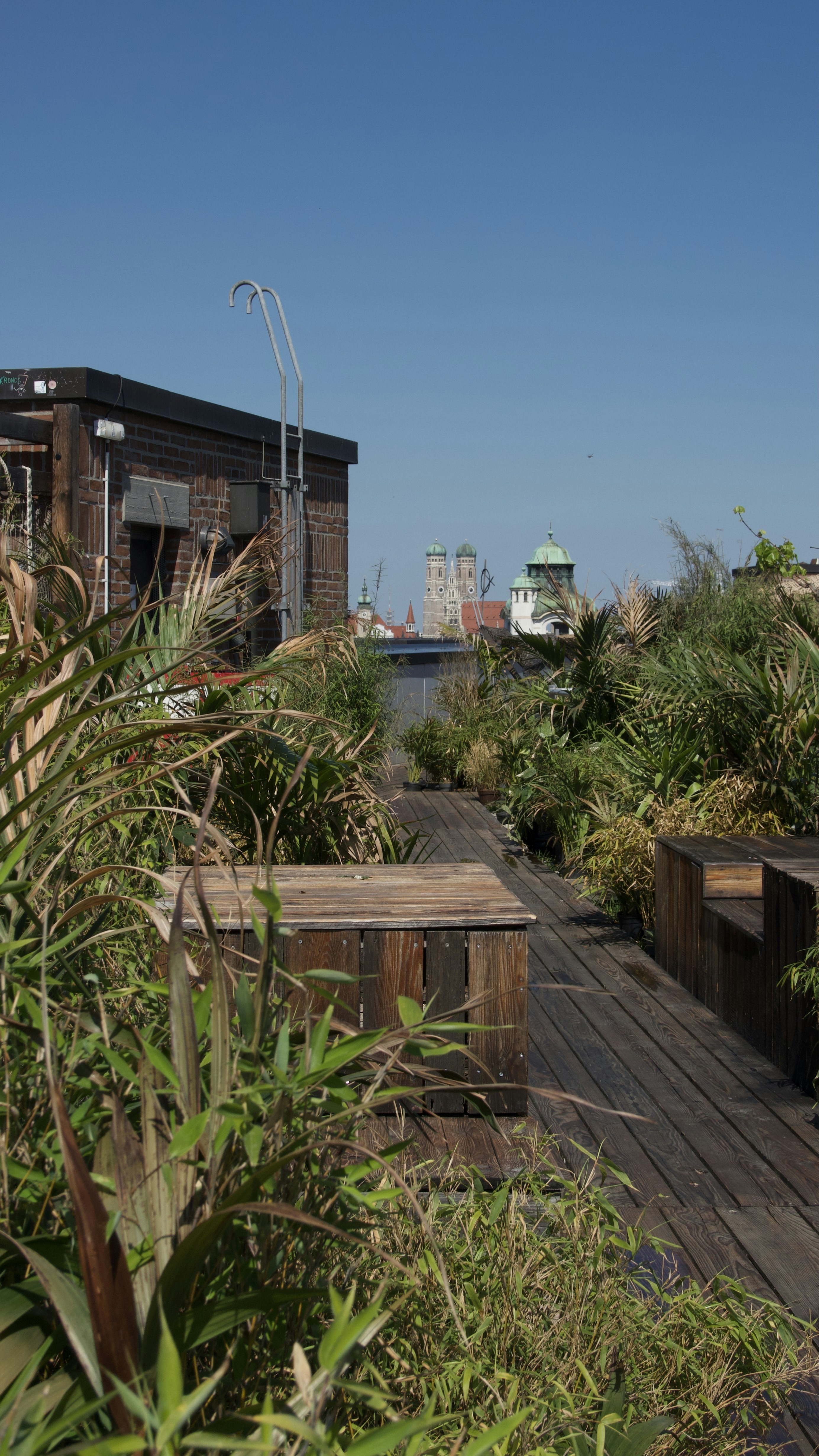 Urban Oasis: Nature Meets Skyline