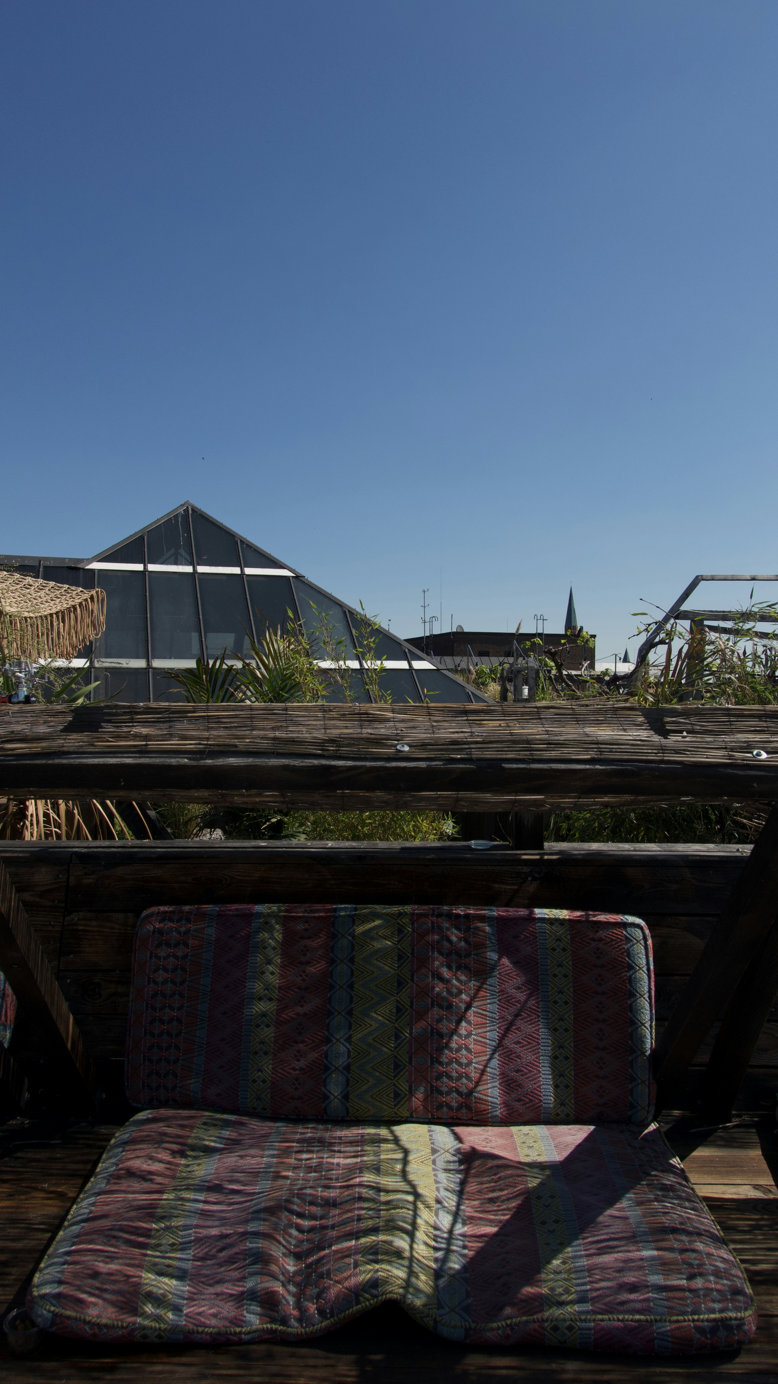 Urban Oasis: A Retreat Above the City
