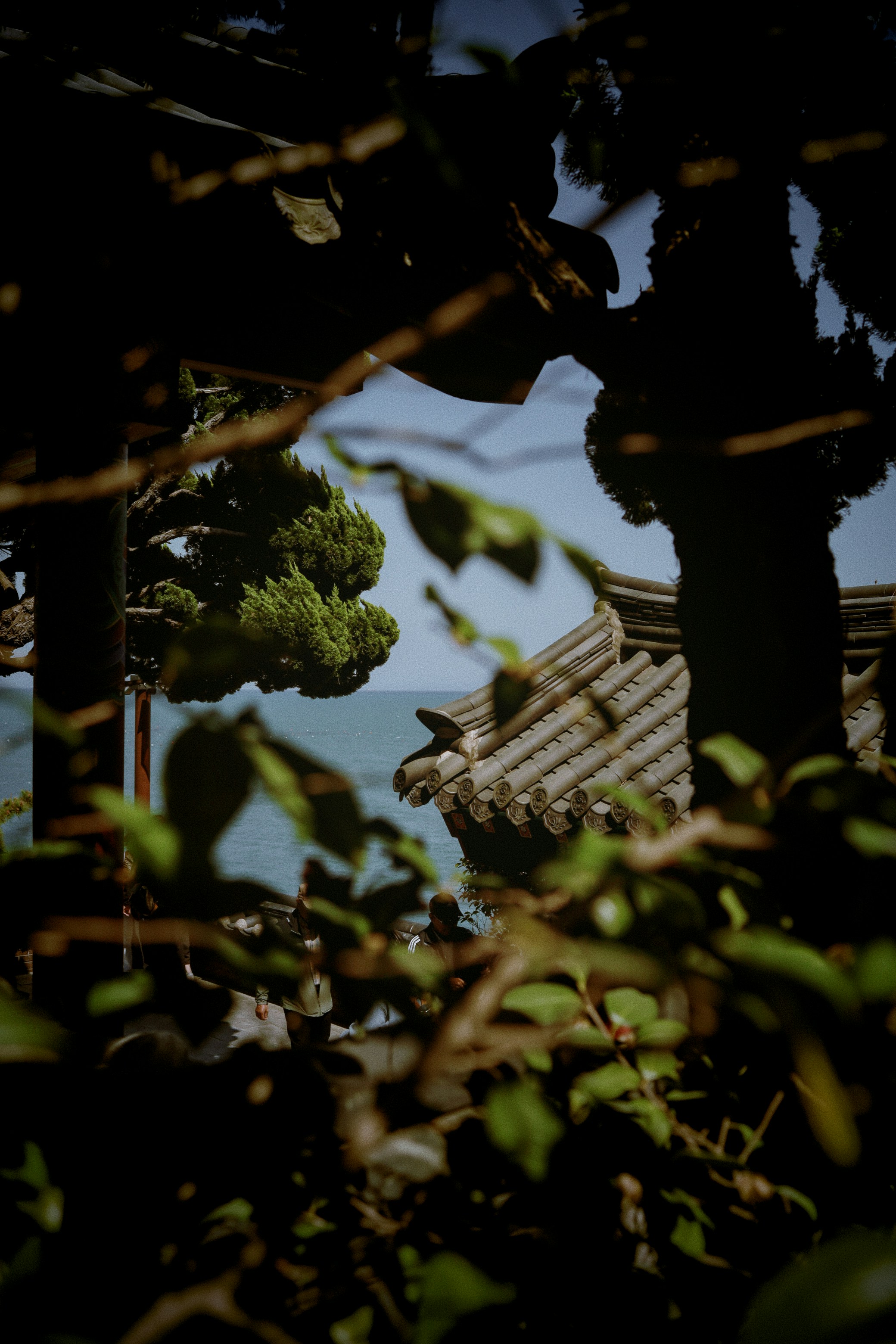 View of ocean through trees with tiled roof.