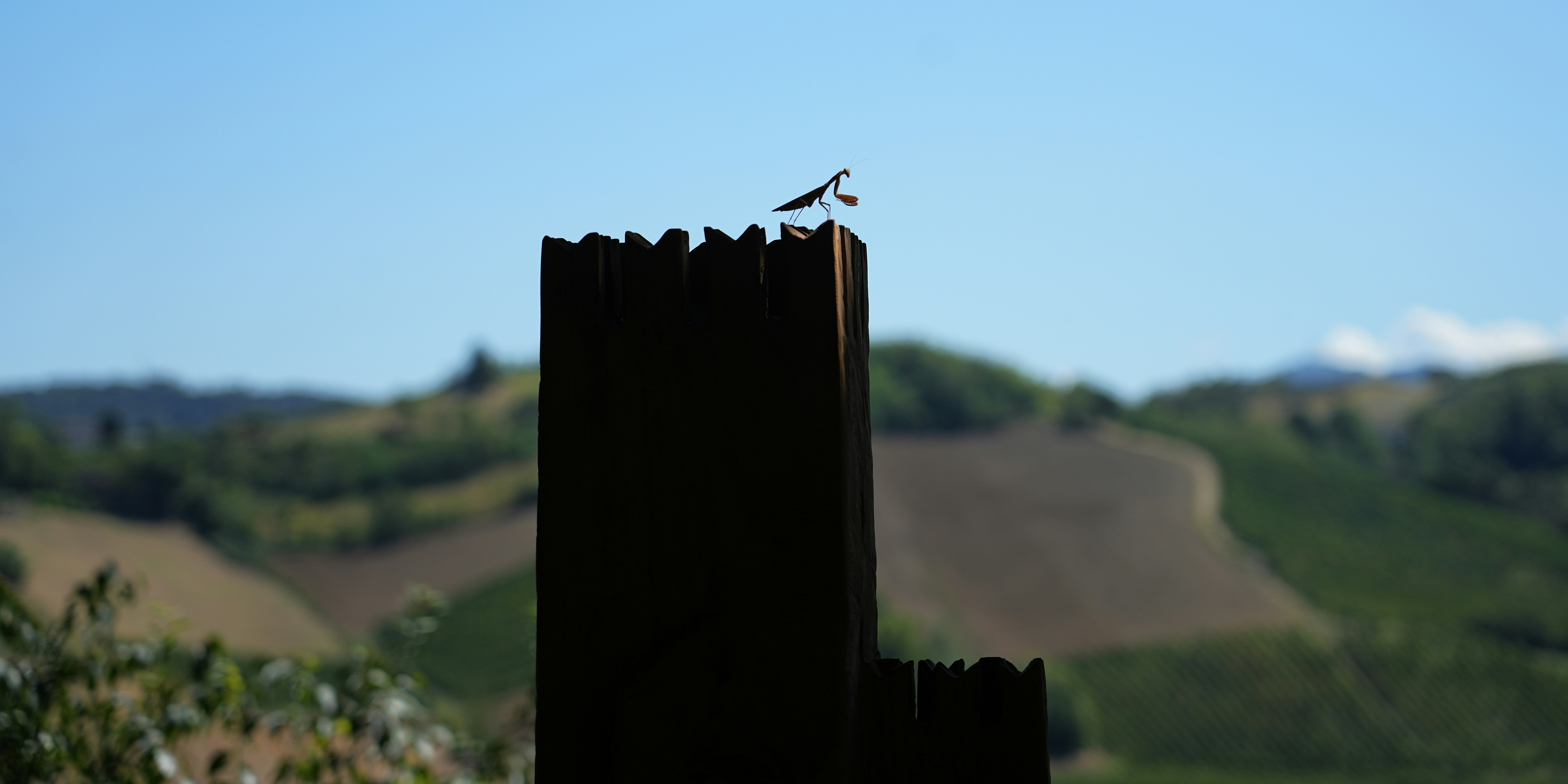 A bird perched atop a wooden post with hills behind.