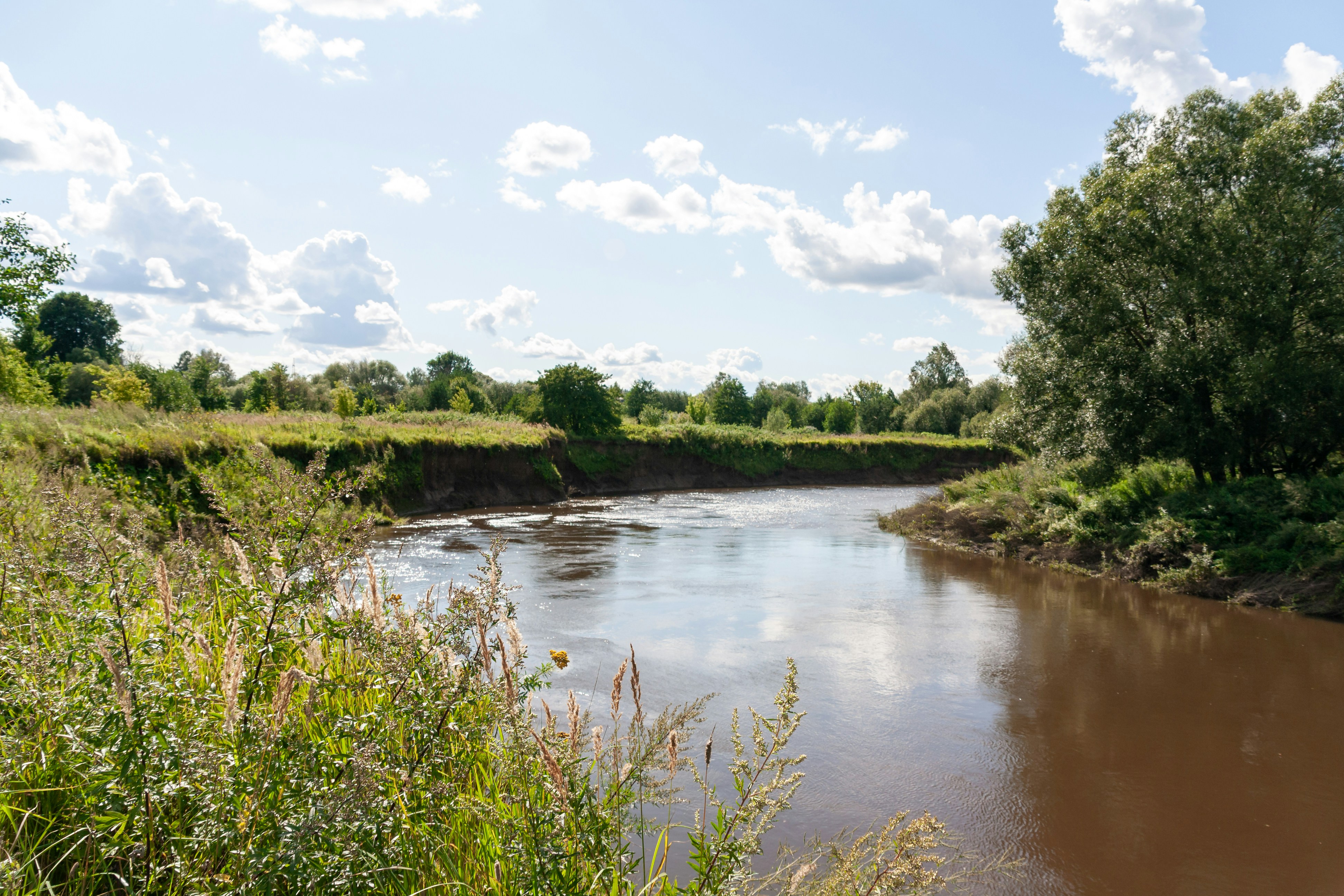 A tranquil river meanders through lush greenery under a partly cloudy sky, showcasing the harmony of nature's elements.