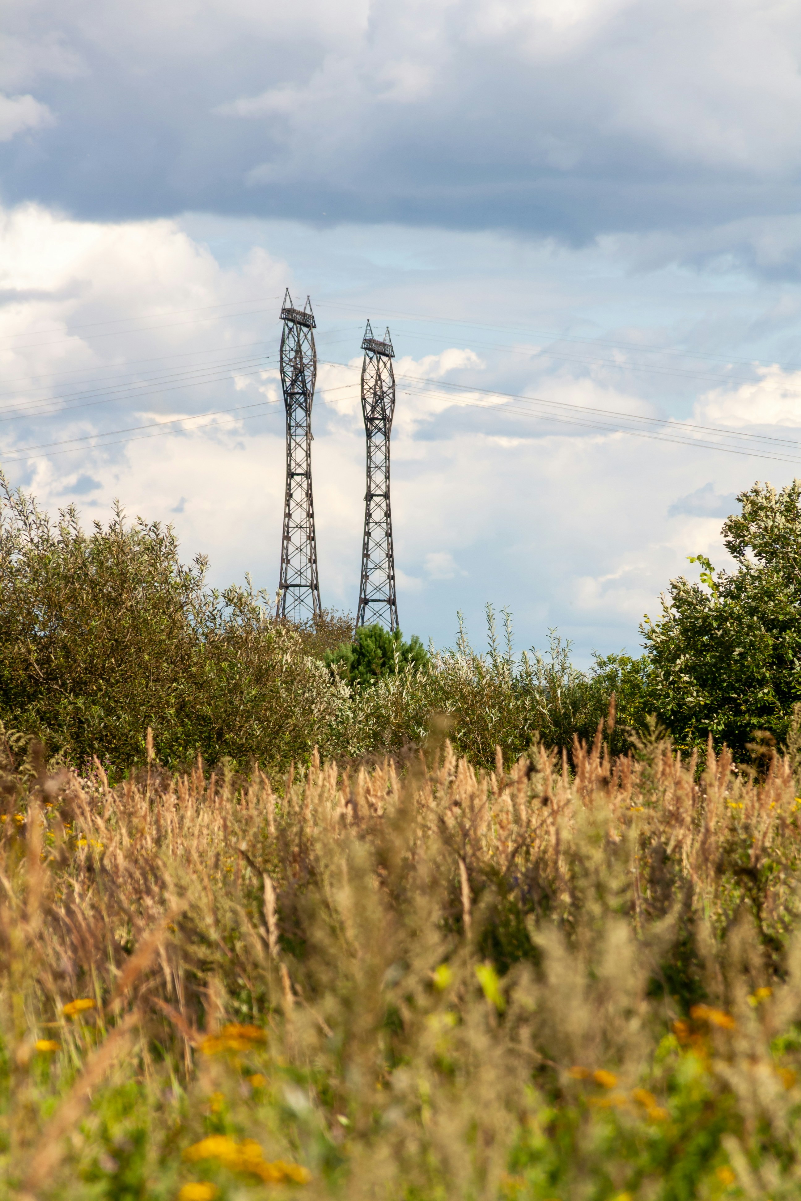 Silent Sentinels of the Countryside