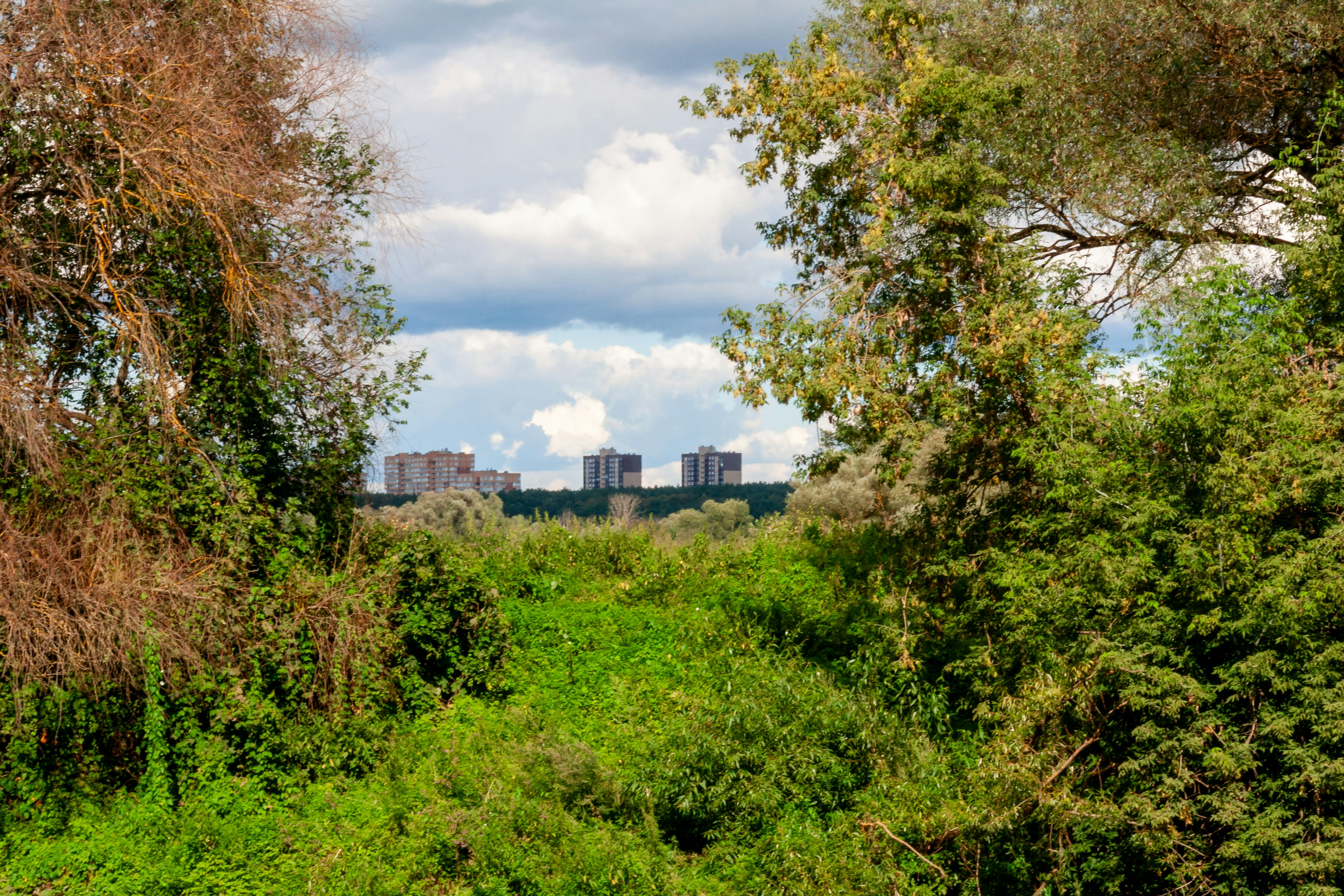 Green hillside with buildings in the distance.