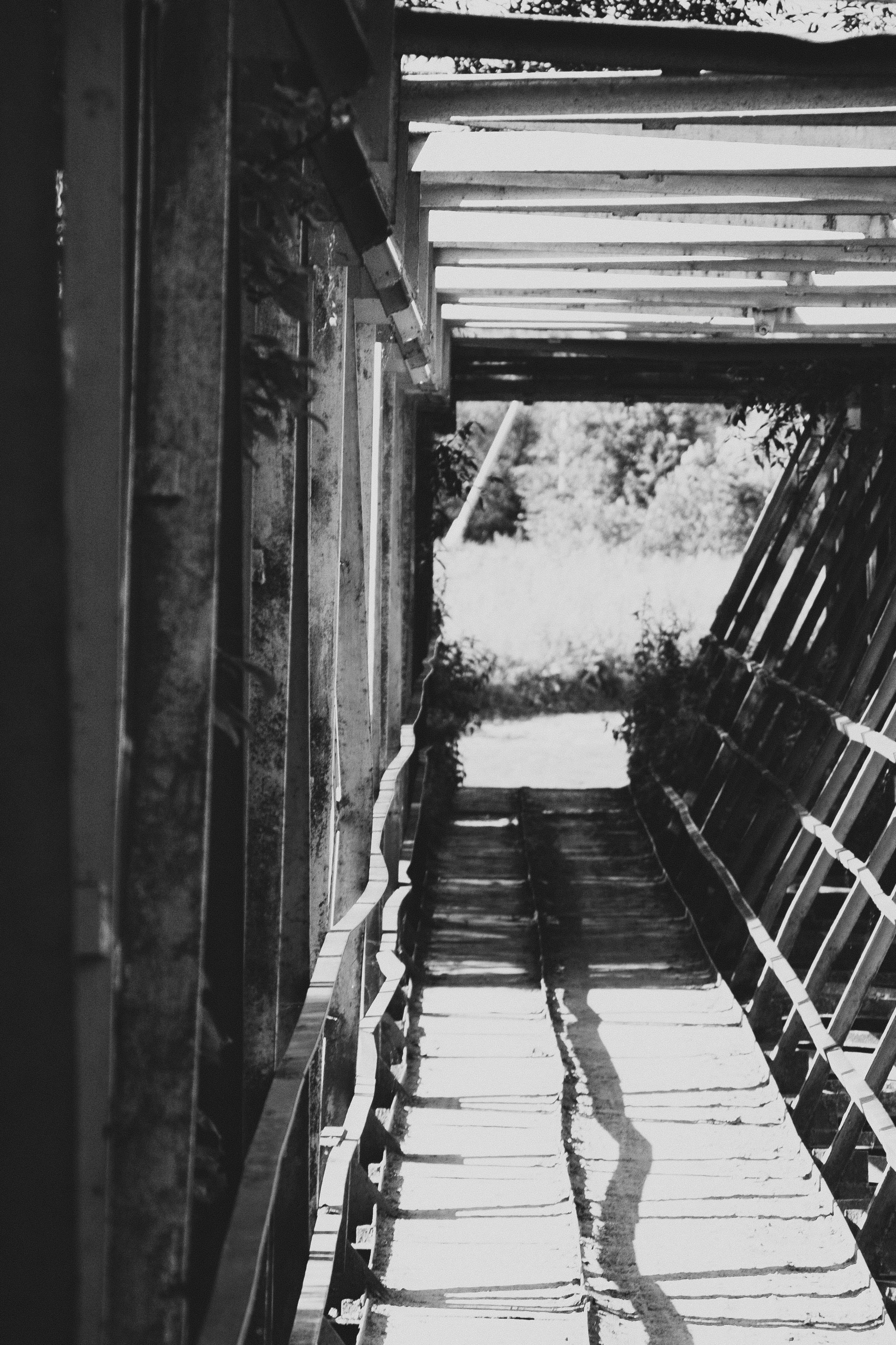 Wooden pathway beneath a lattice structure, illuminated by soft light, leading into a natural setting. The interplay of shadows creates a tranquil atmosphere.