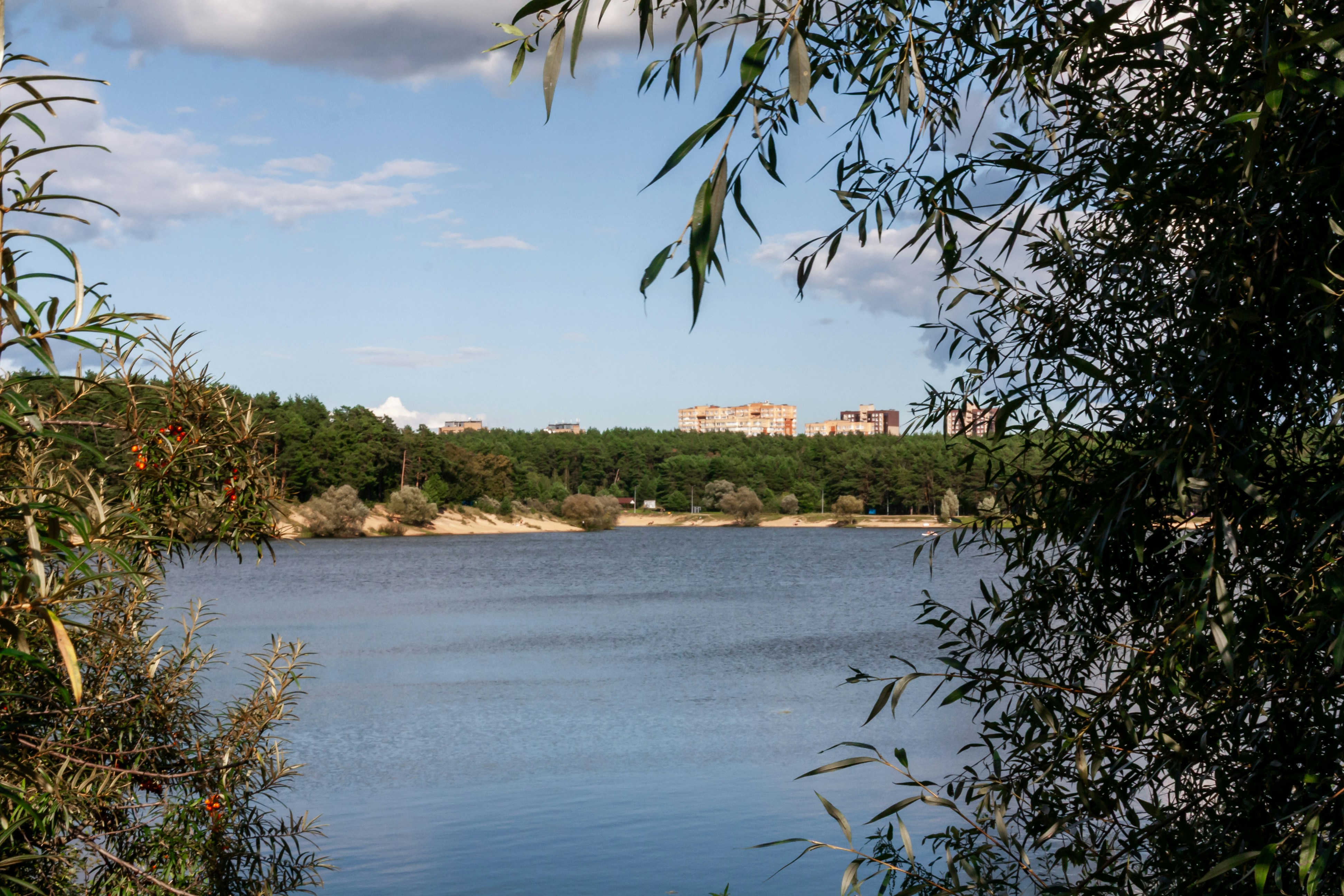 Lush foliage frames a tranquil lake with distant buildings nestled among trees under a clear blue sky.