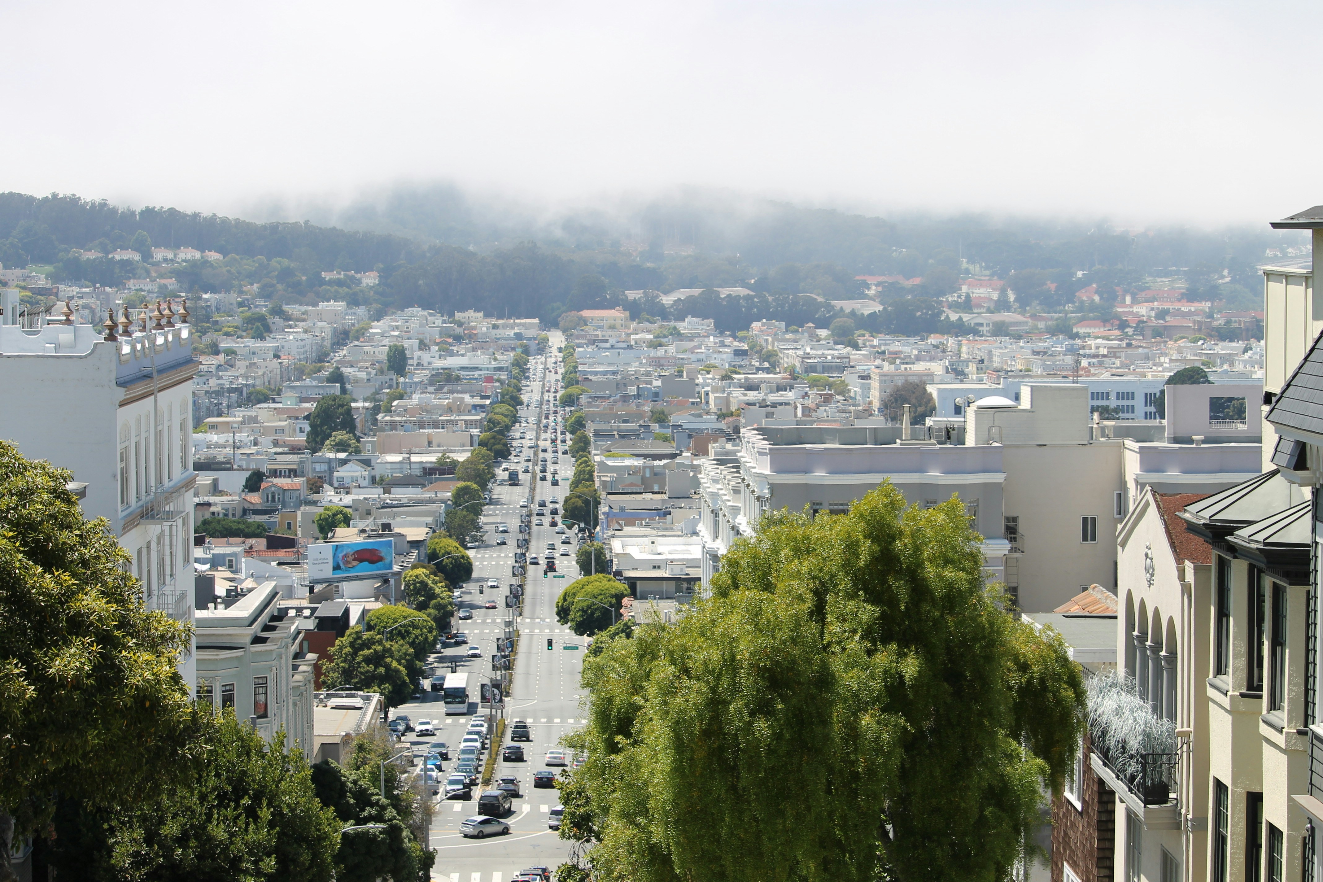 A panoramic view of a city street lined with trees and buildings, shrouded in a light fog, creating a serene urban landscape.