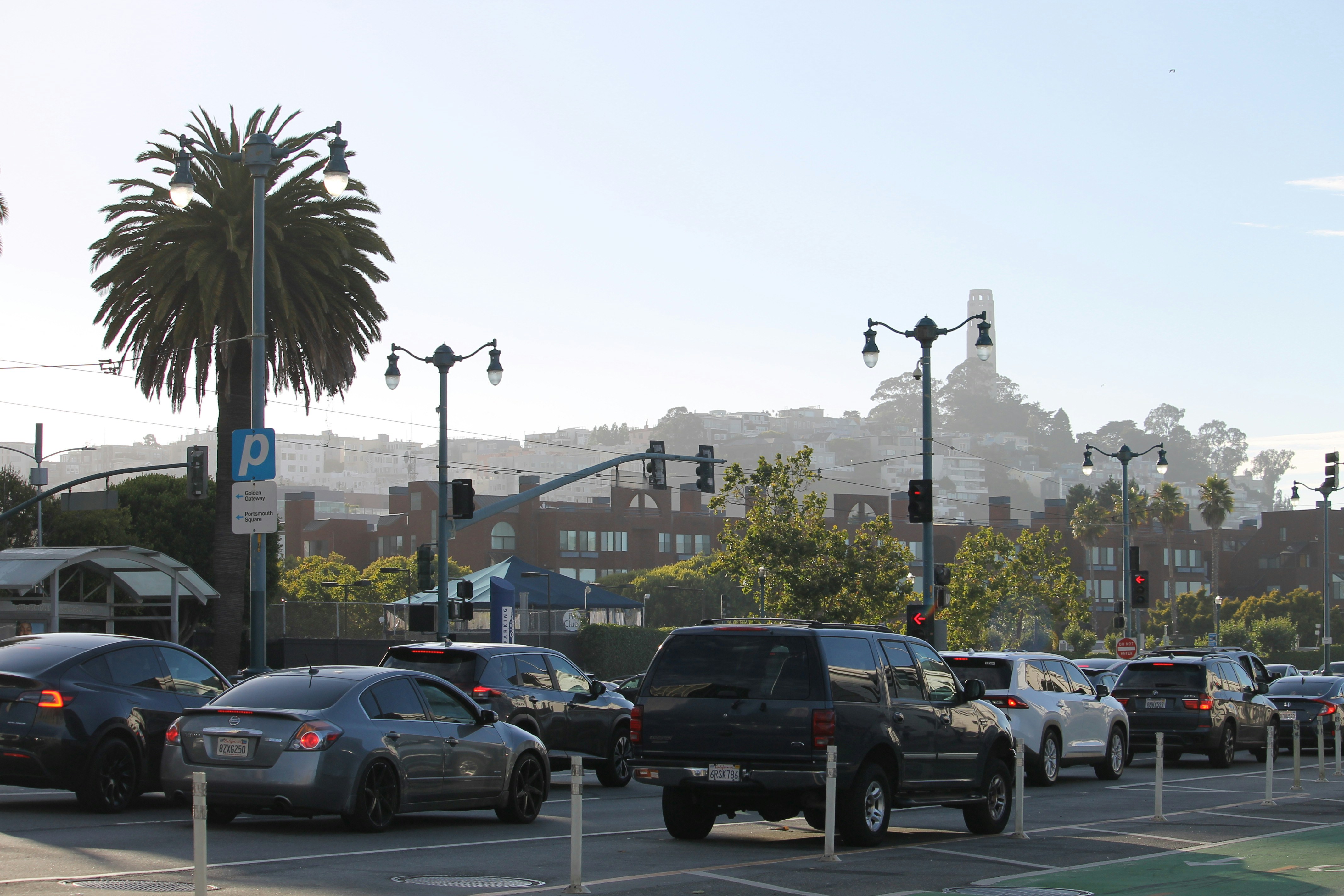 Palm tree silhouetted against a backdrop of city traffic and buildings in the morning light.