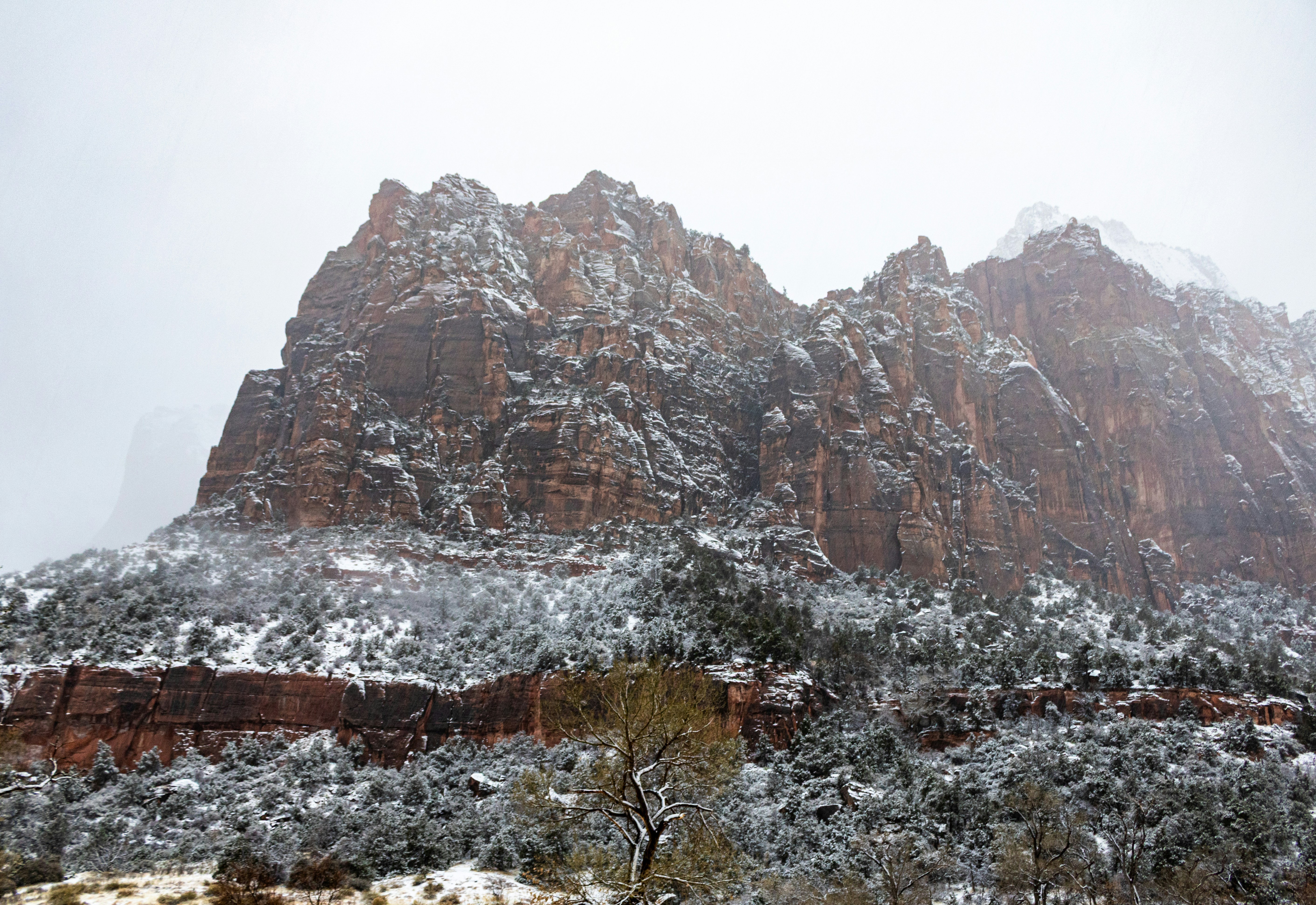 A mountain stands tall on a cold winter snowy day at Zion National Park in February 2025. | Snow-covered rocky mountains under a cloudy sky