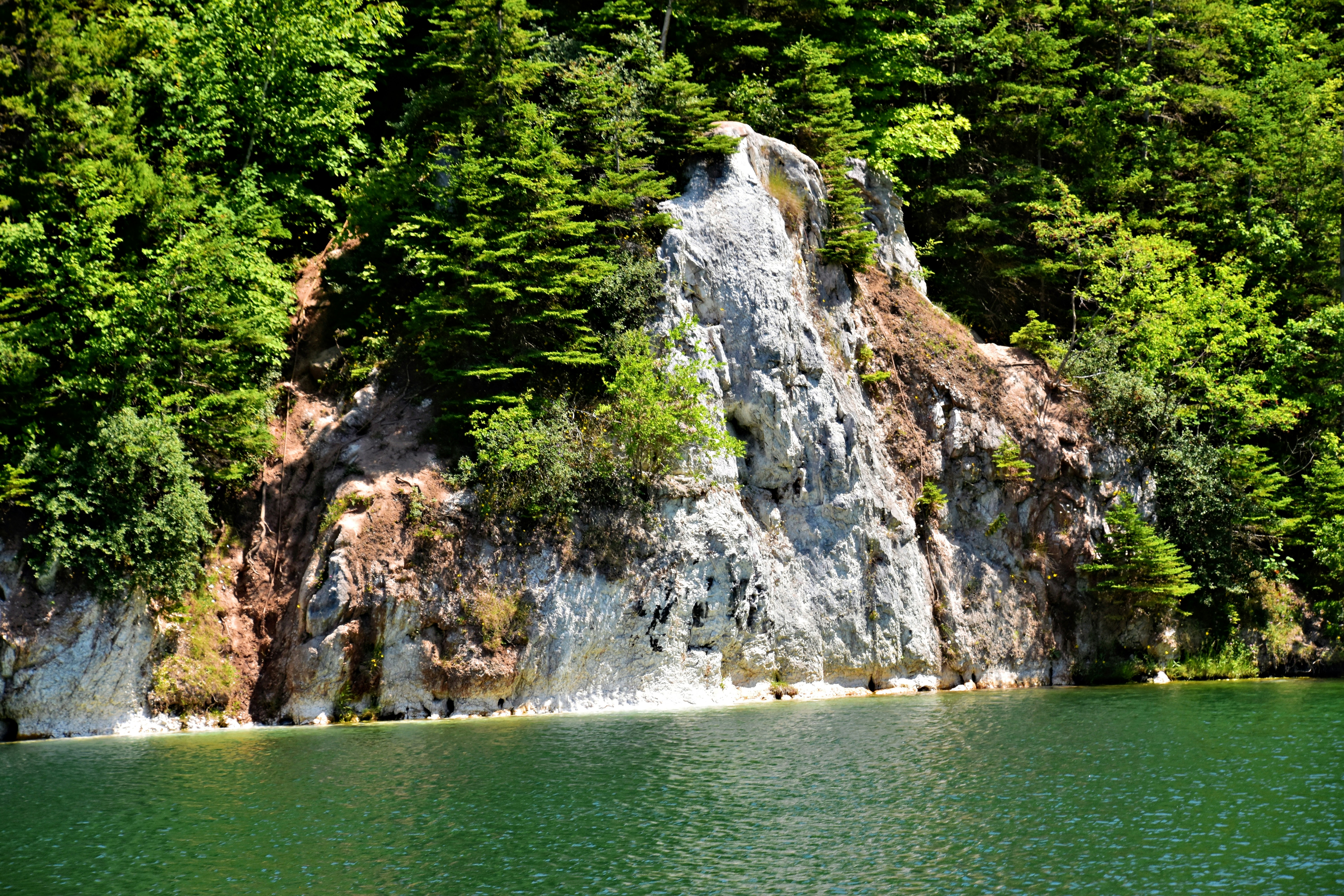 Sunlit Limestone Cliffs Fringed by Pines, Meeting a Quiet Lake