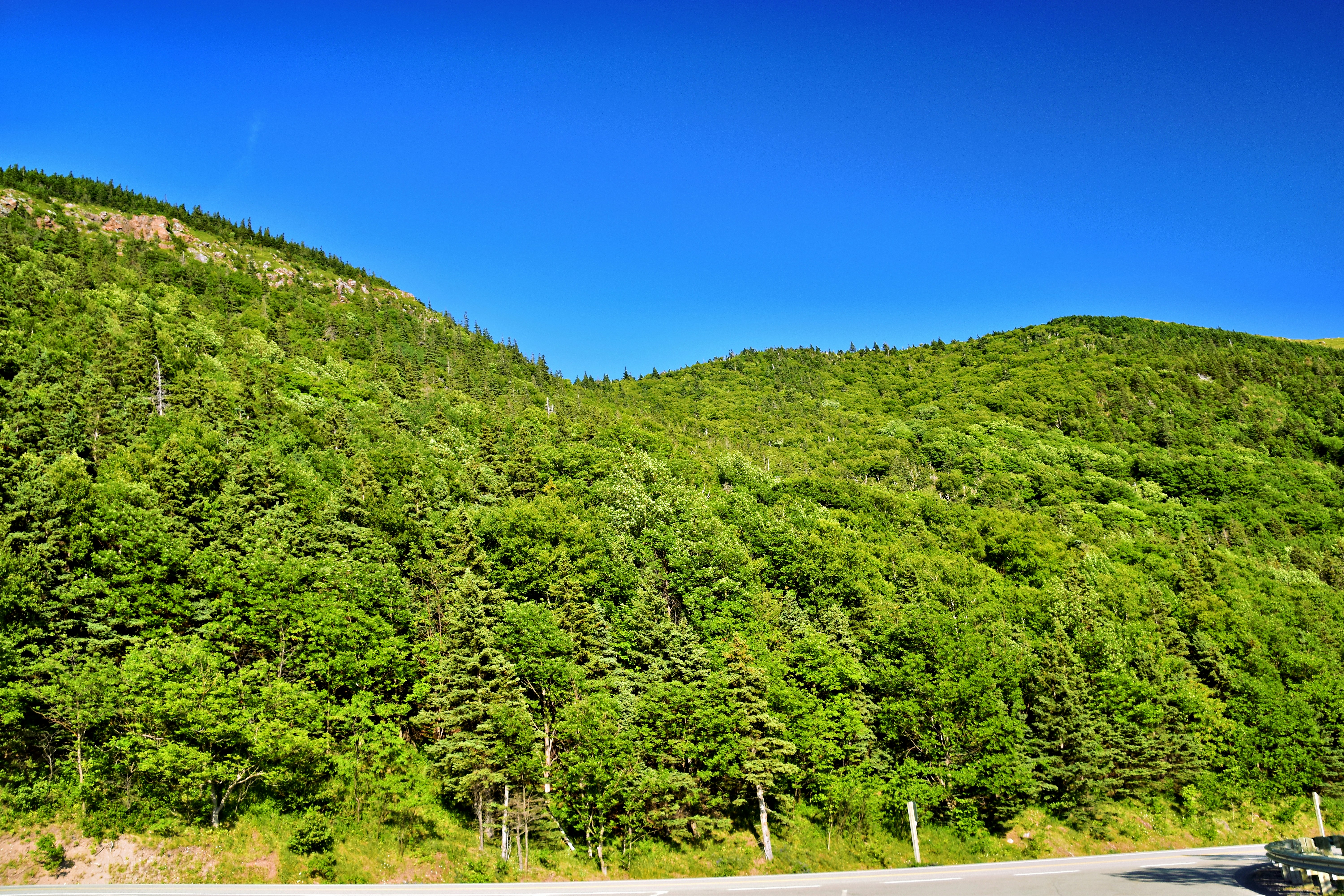 Lush green hills blanket the landscape, showcasing a vibrant forest under a clear blue sky.