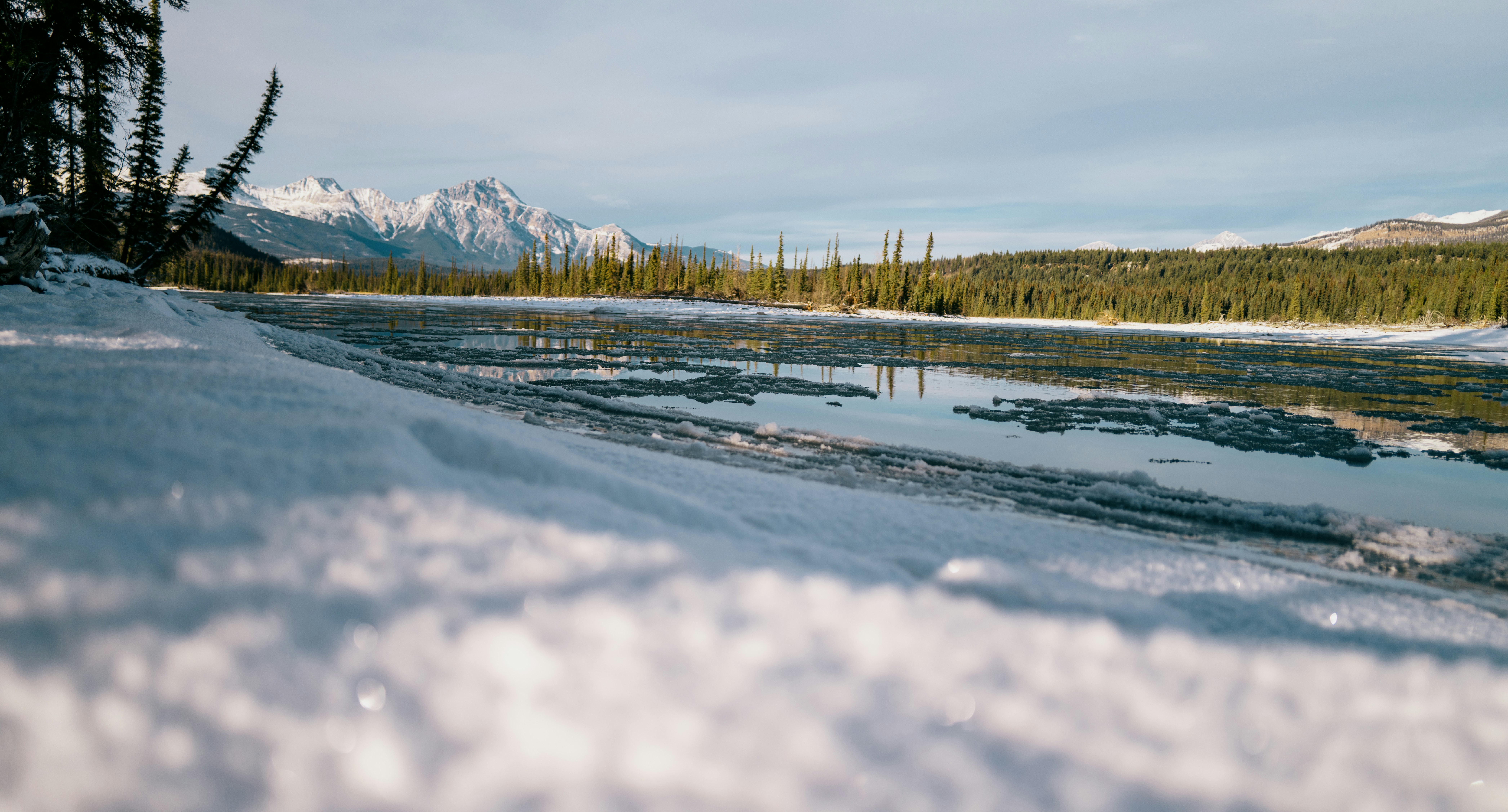 Whispers of Winter: A Serene Reflection