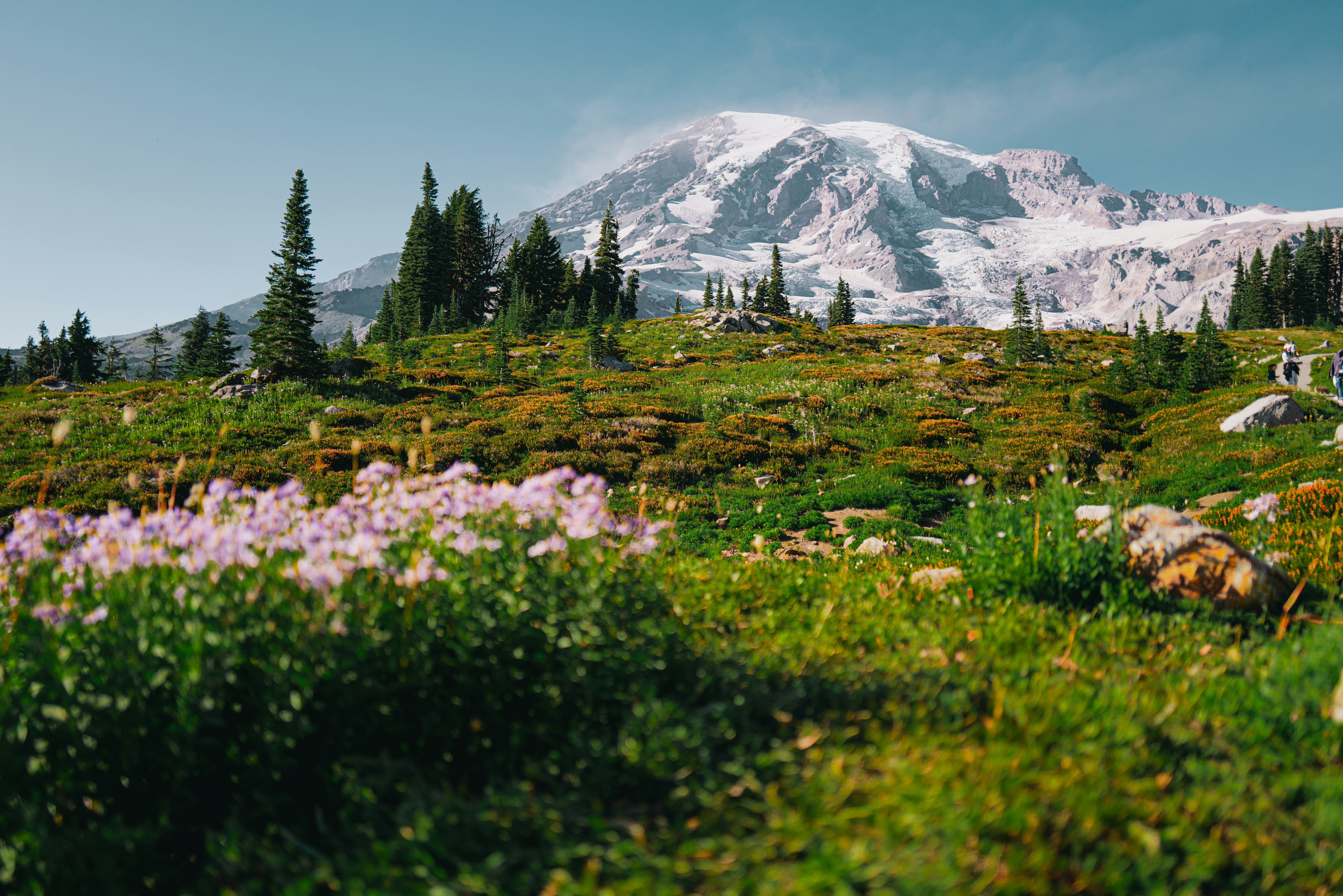 Nature's Palette: A Symphony of Flora and Peaks