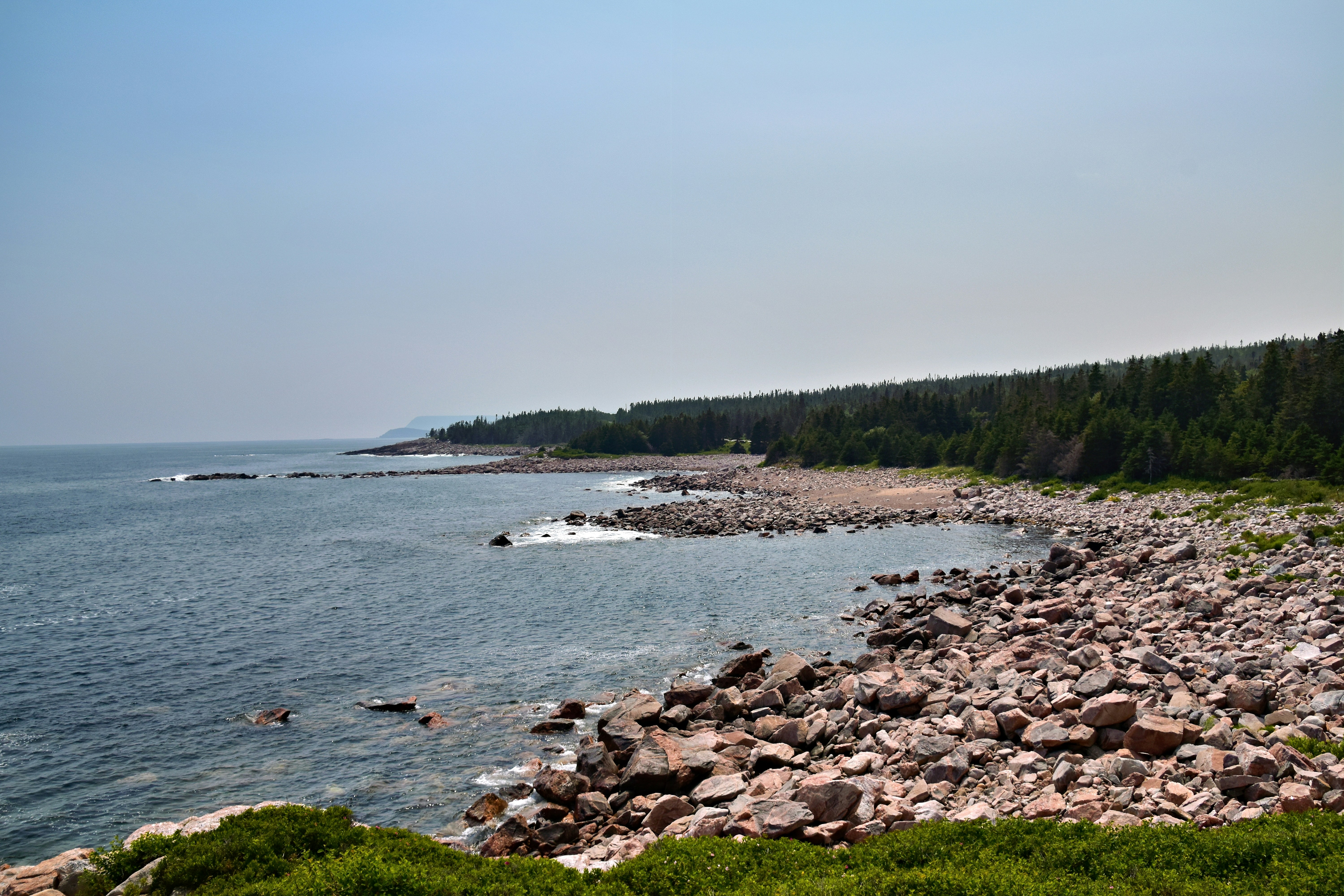 Rocky coastline with trees and ocean waves