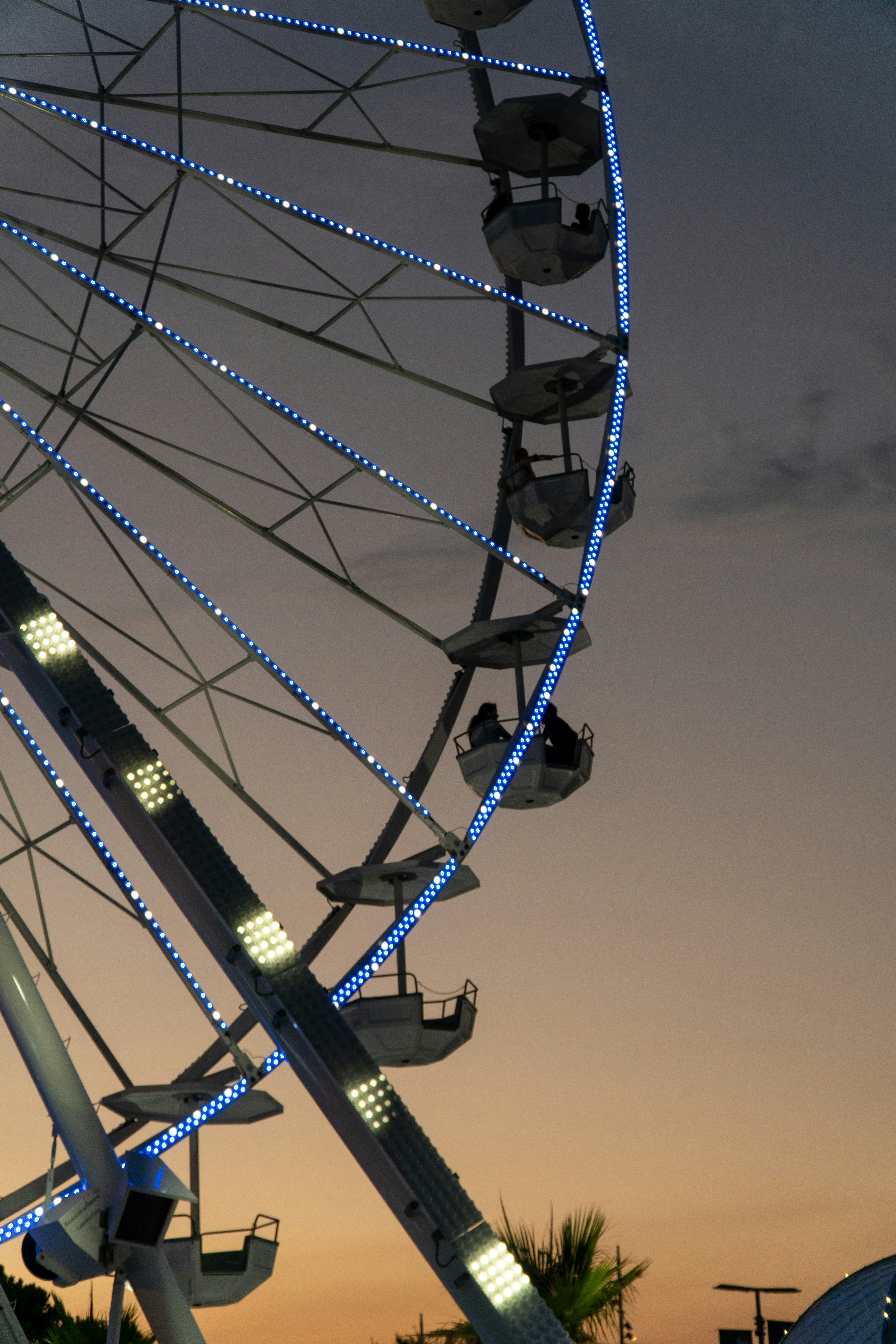 Twilight Whirl: The Ferris Wheel's Dance