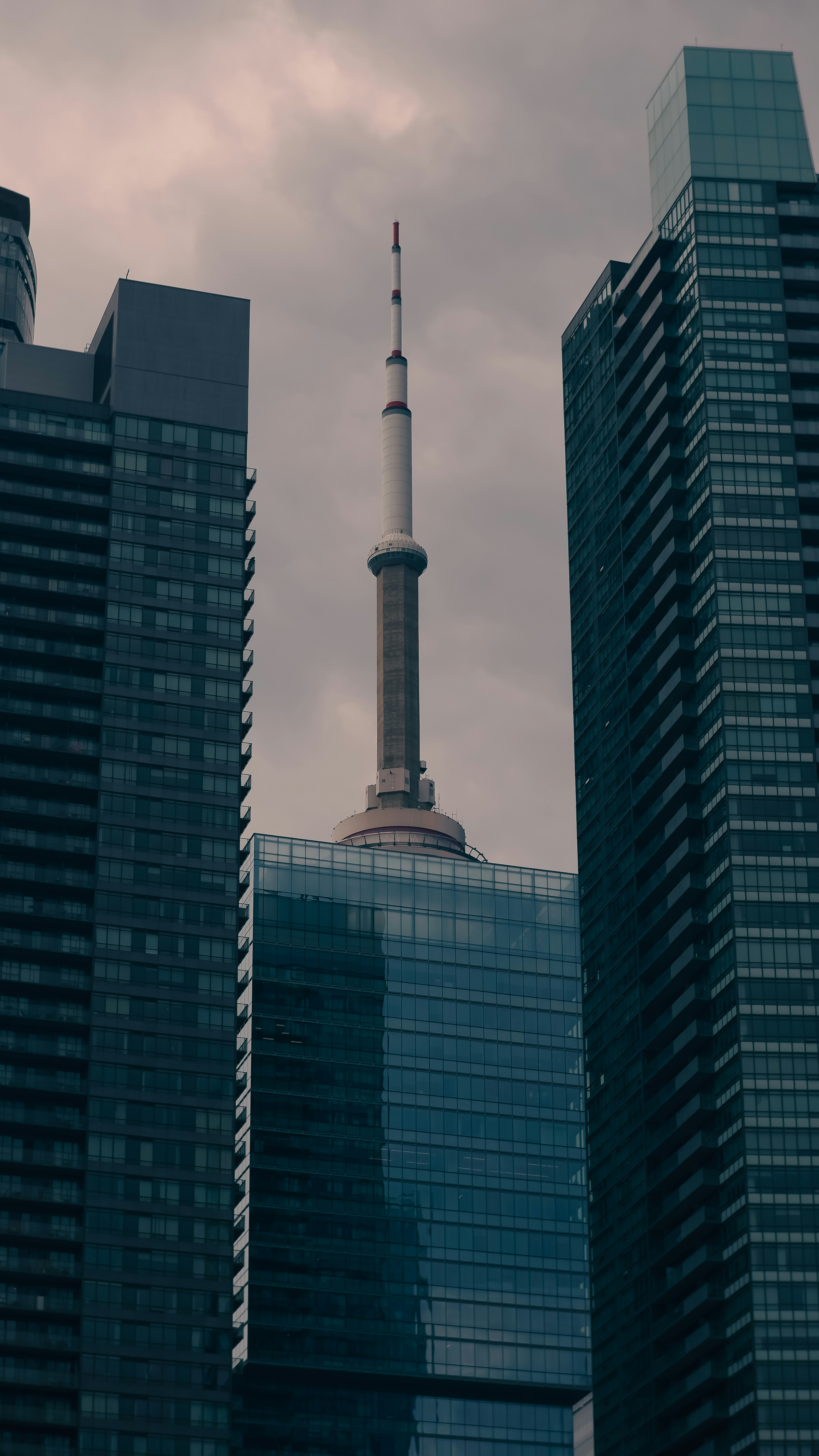 Urban Pinnacle: The Tower Amidst Glass Giants