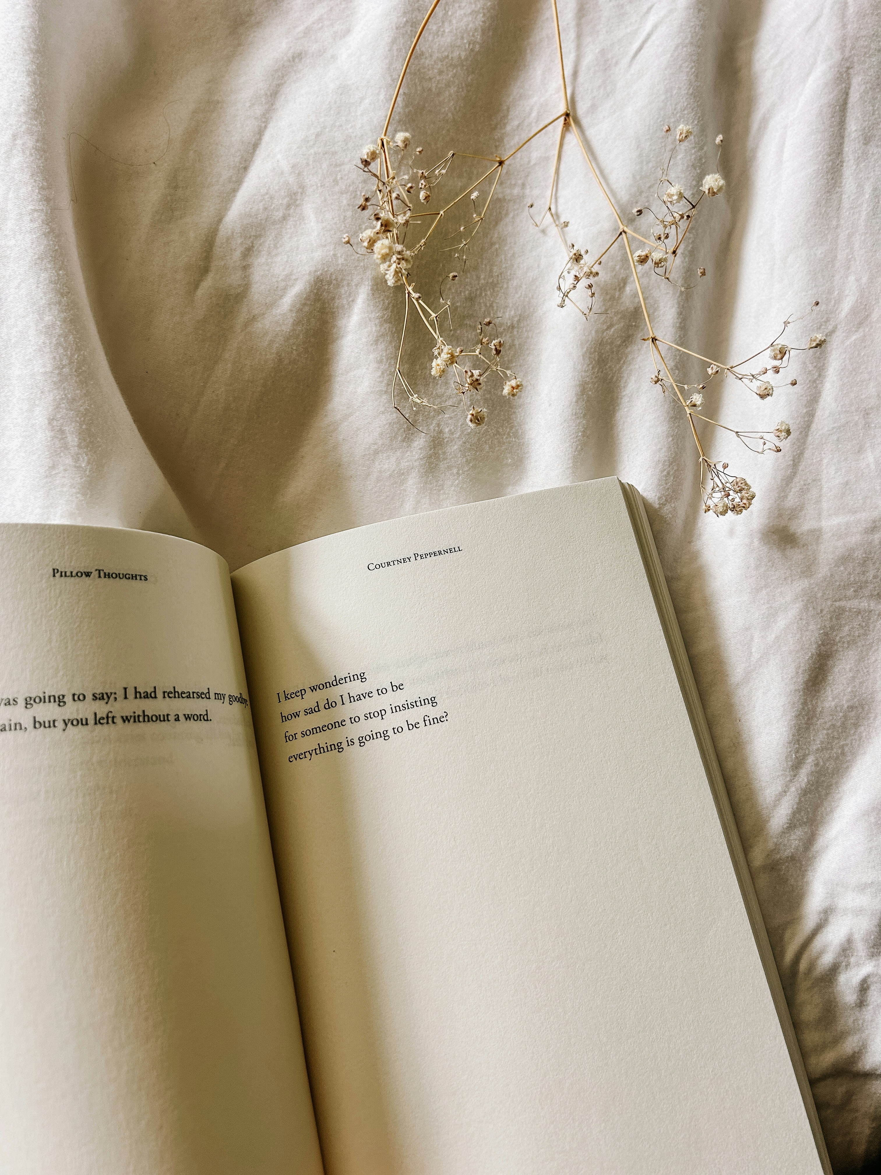 Sample photo from Apple iPhone 14