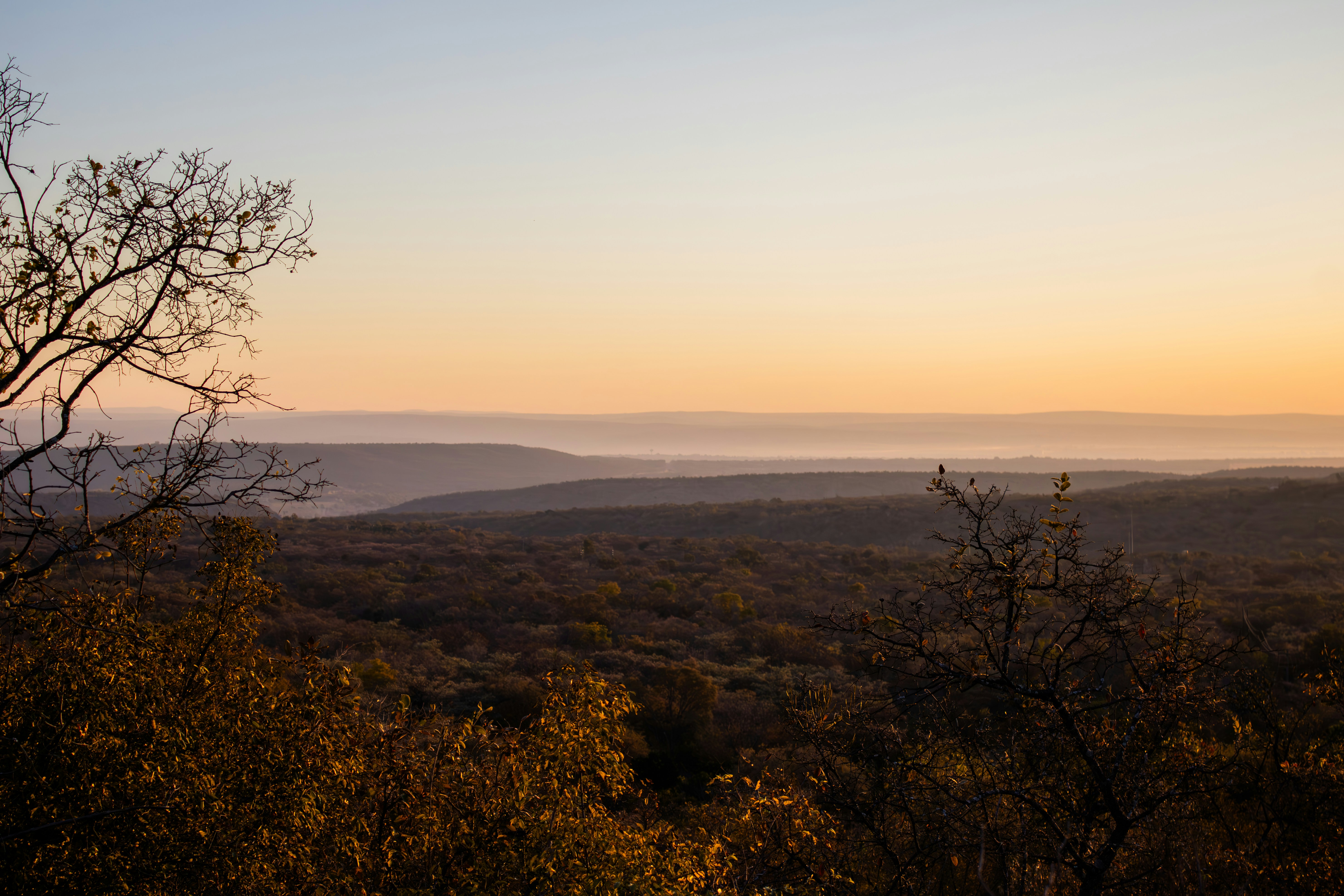 South African landscape | Golden sunrise over a misty forest landscape
