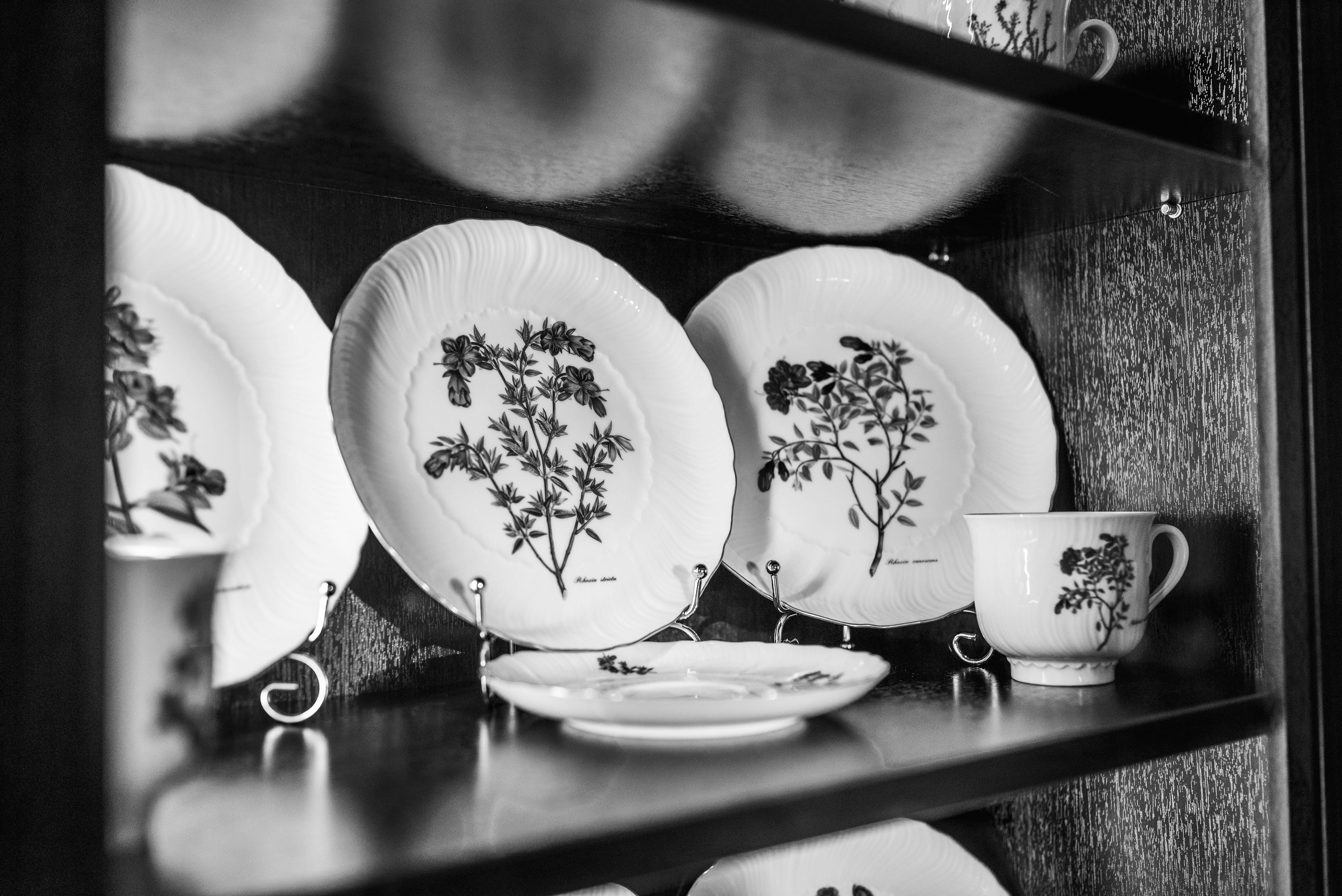 Timeless Elegance: A Study in Monochrome Ceramics