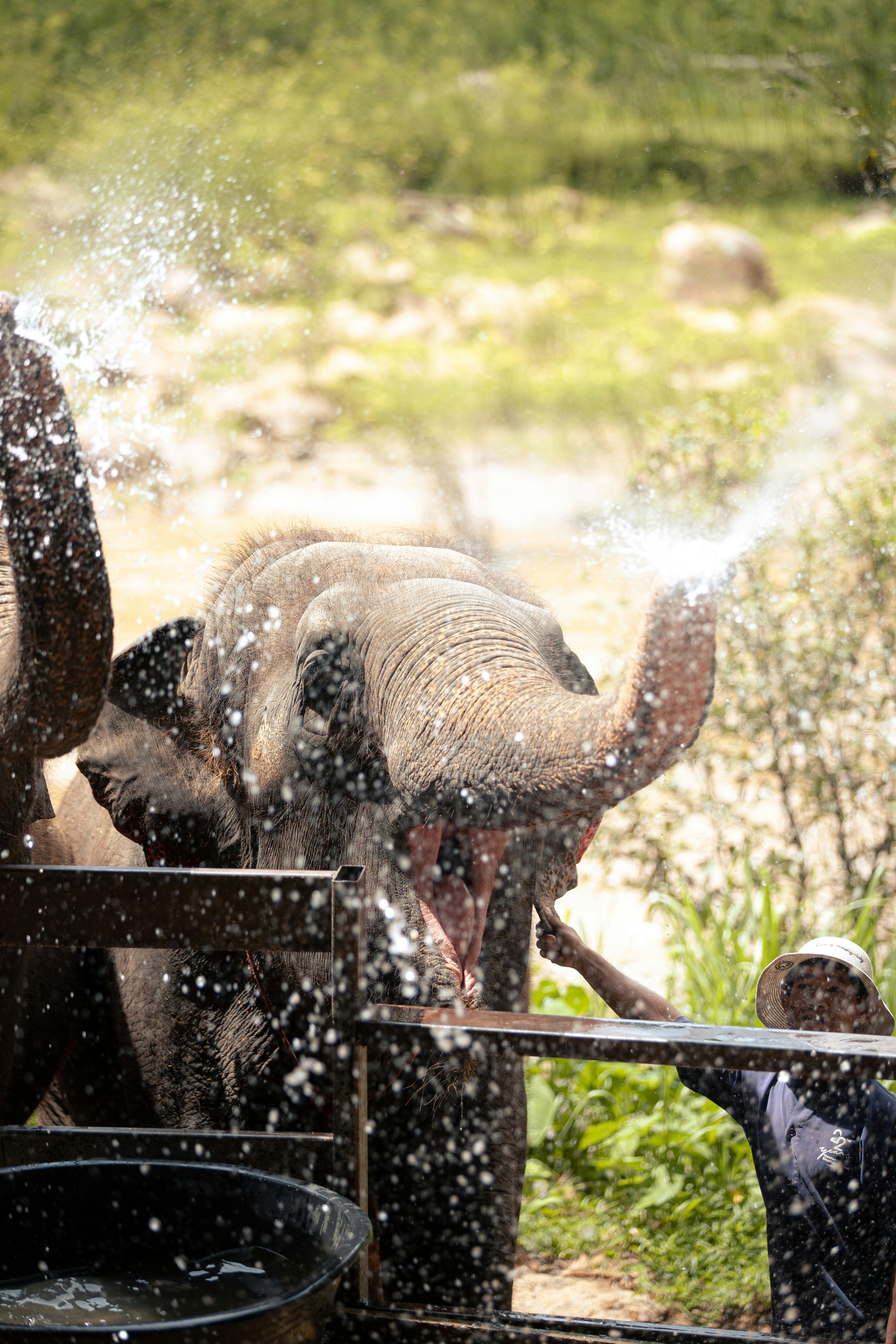 Photo by De an Sun with CANON EOS 5D