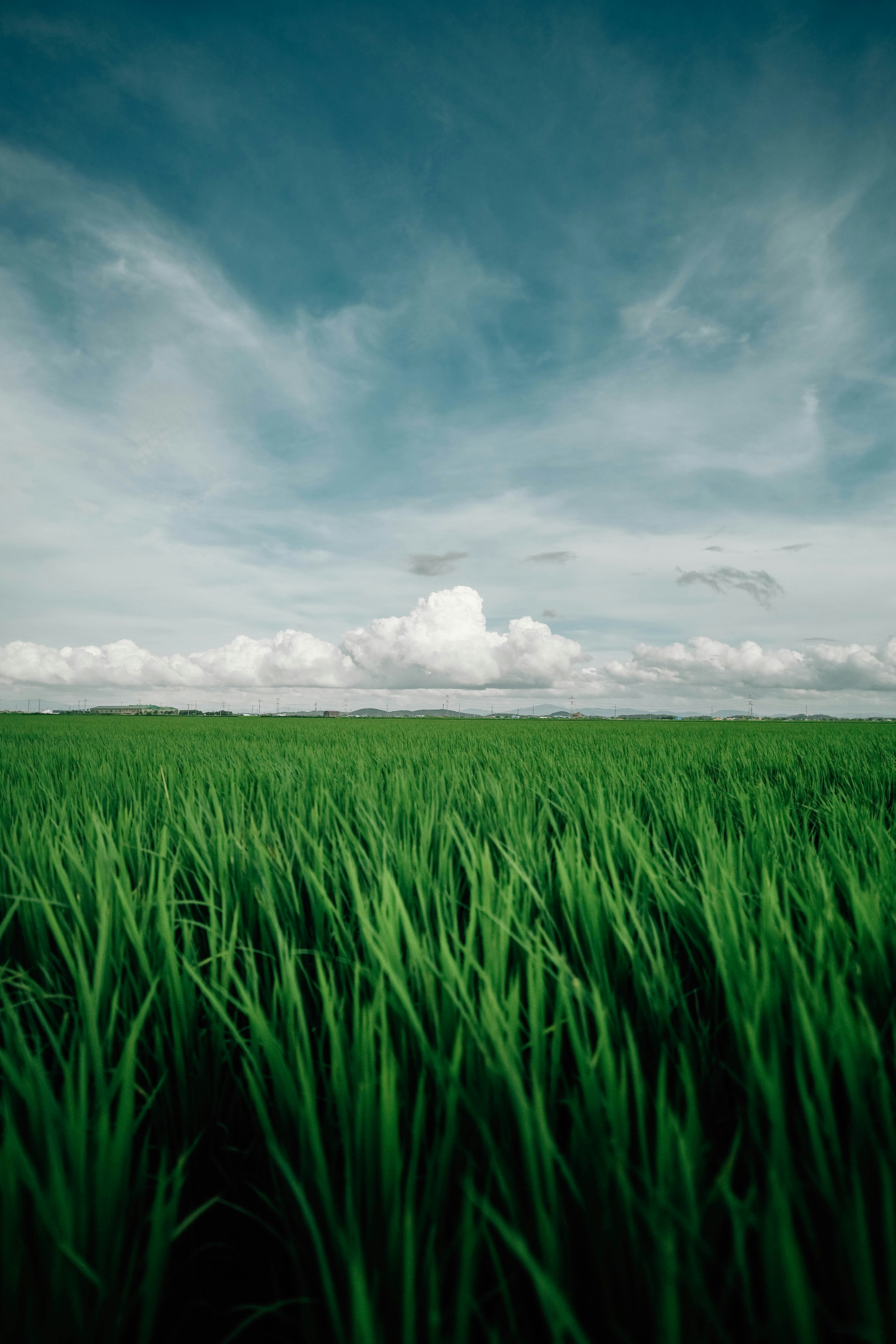 Vast green field under a cloudy sky