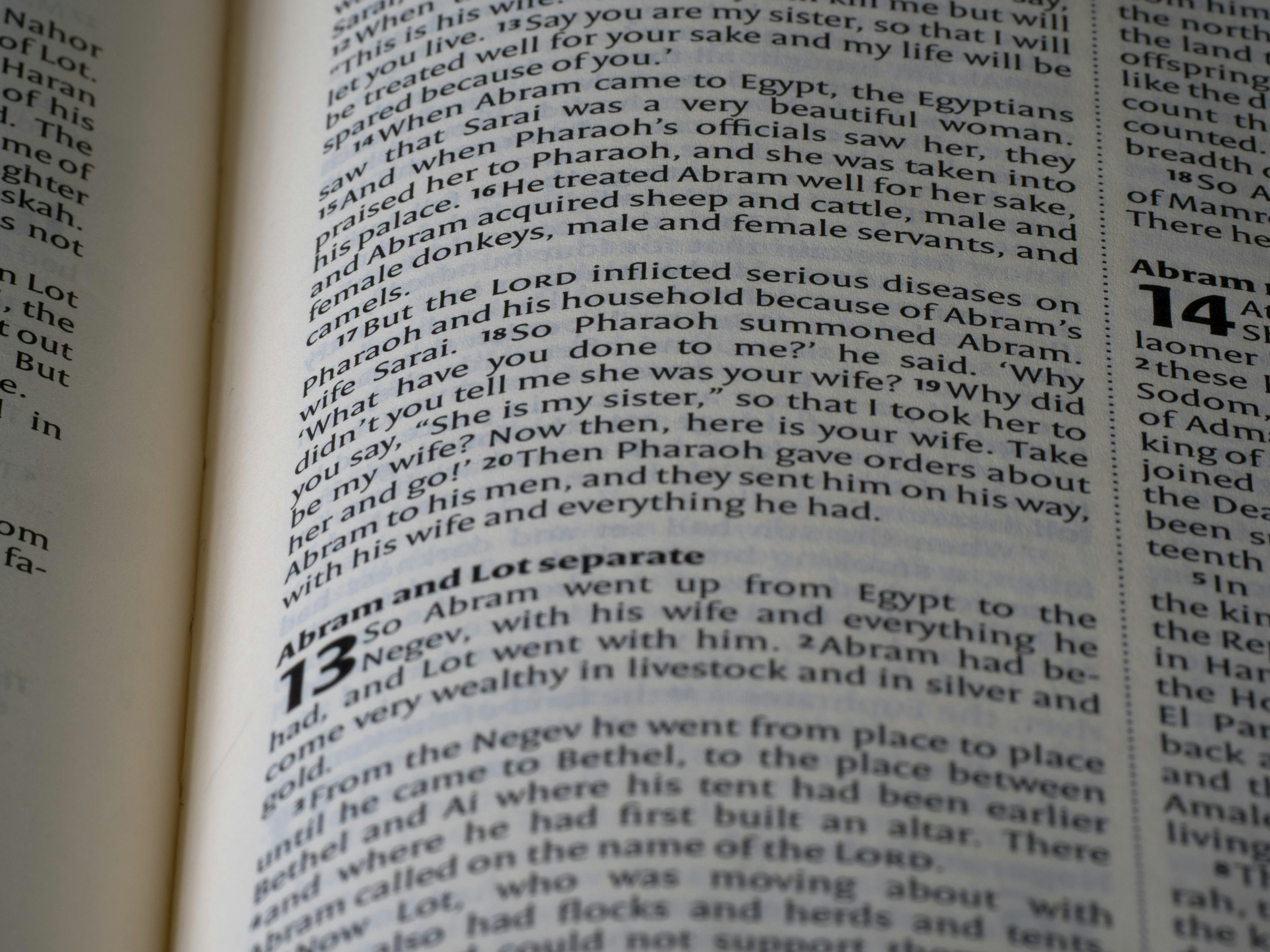 The Book of Genesis | Close-up of an open bible with text visible.