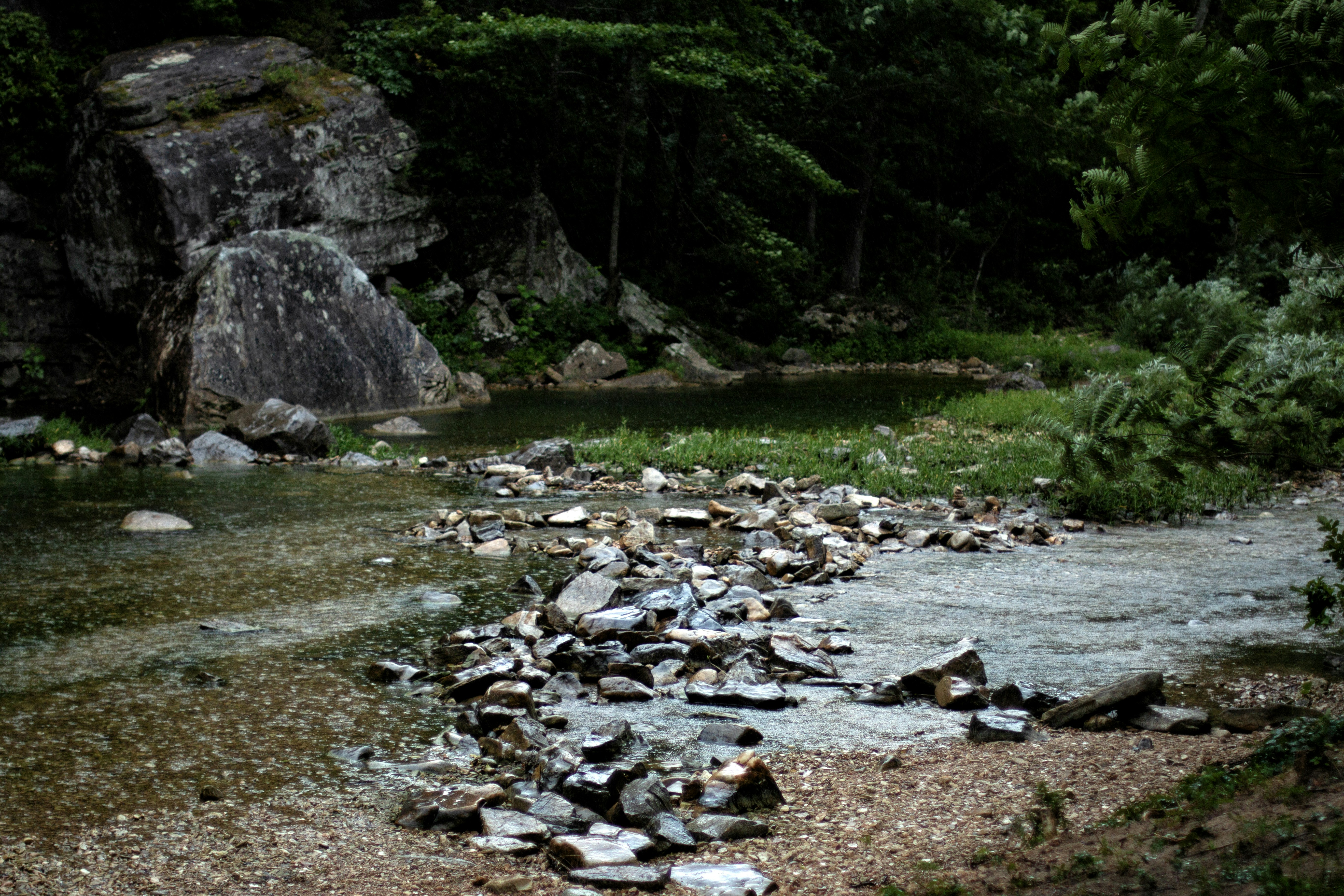 natural pool, water, stones, trees, rocks, national park, Arkansas | Rocky stream flows through lush green forest