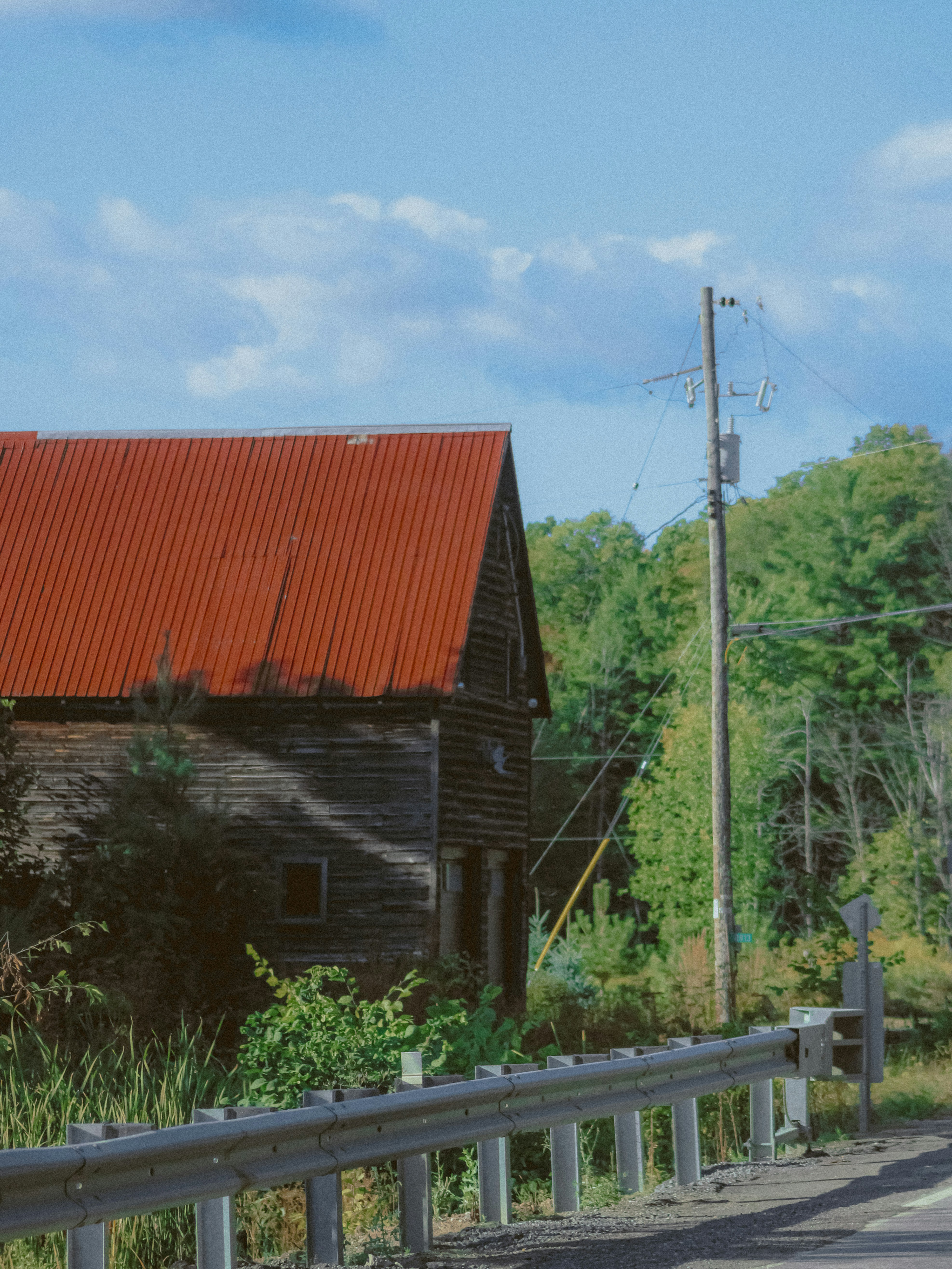 roadtrip through forest near red barnhouse | Rustic wooden barn with a red roof and trees.