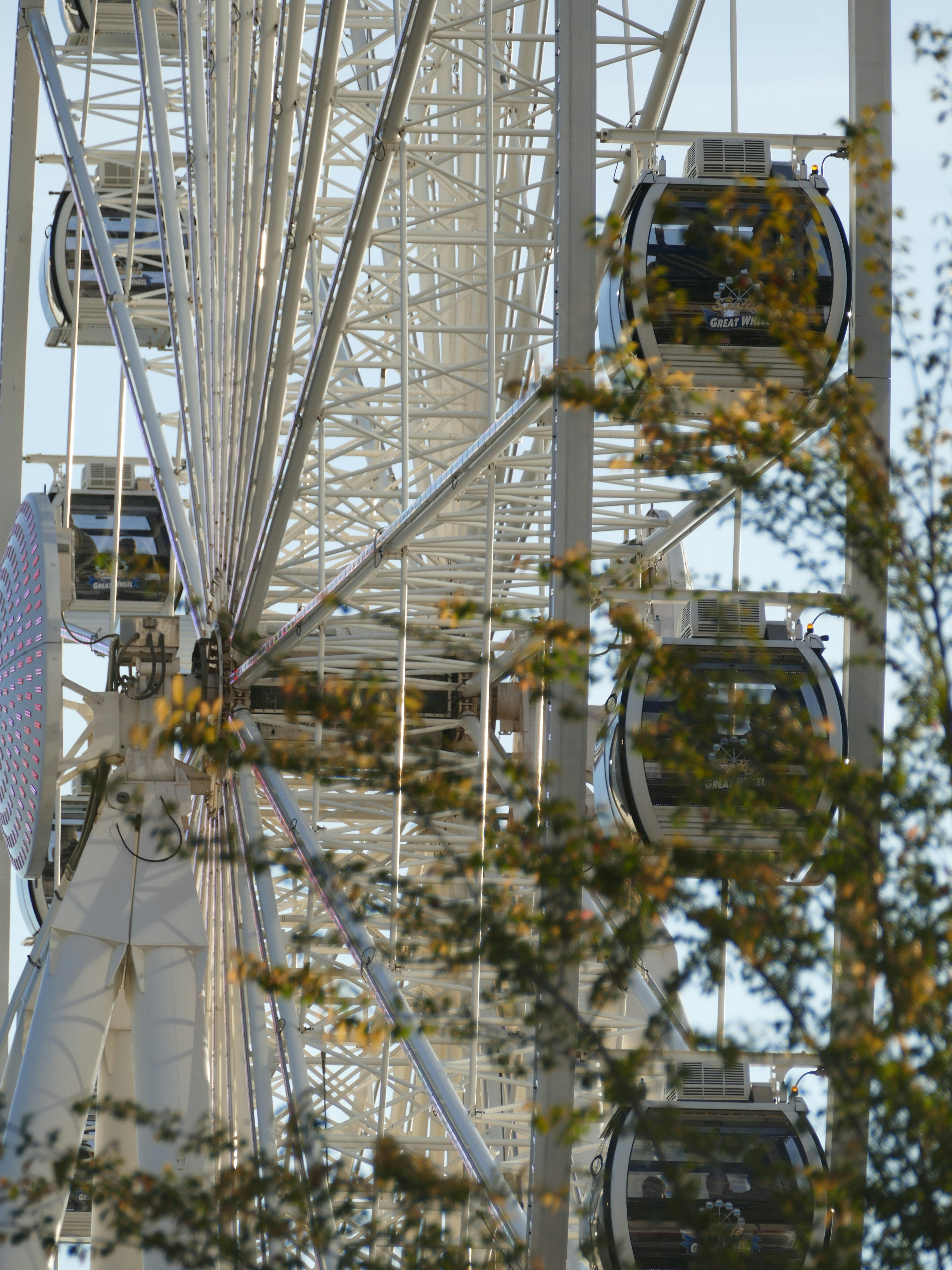 White ferris wheel with enclosed cabins and trees