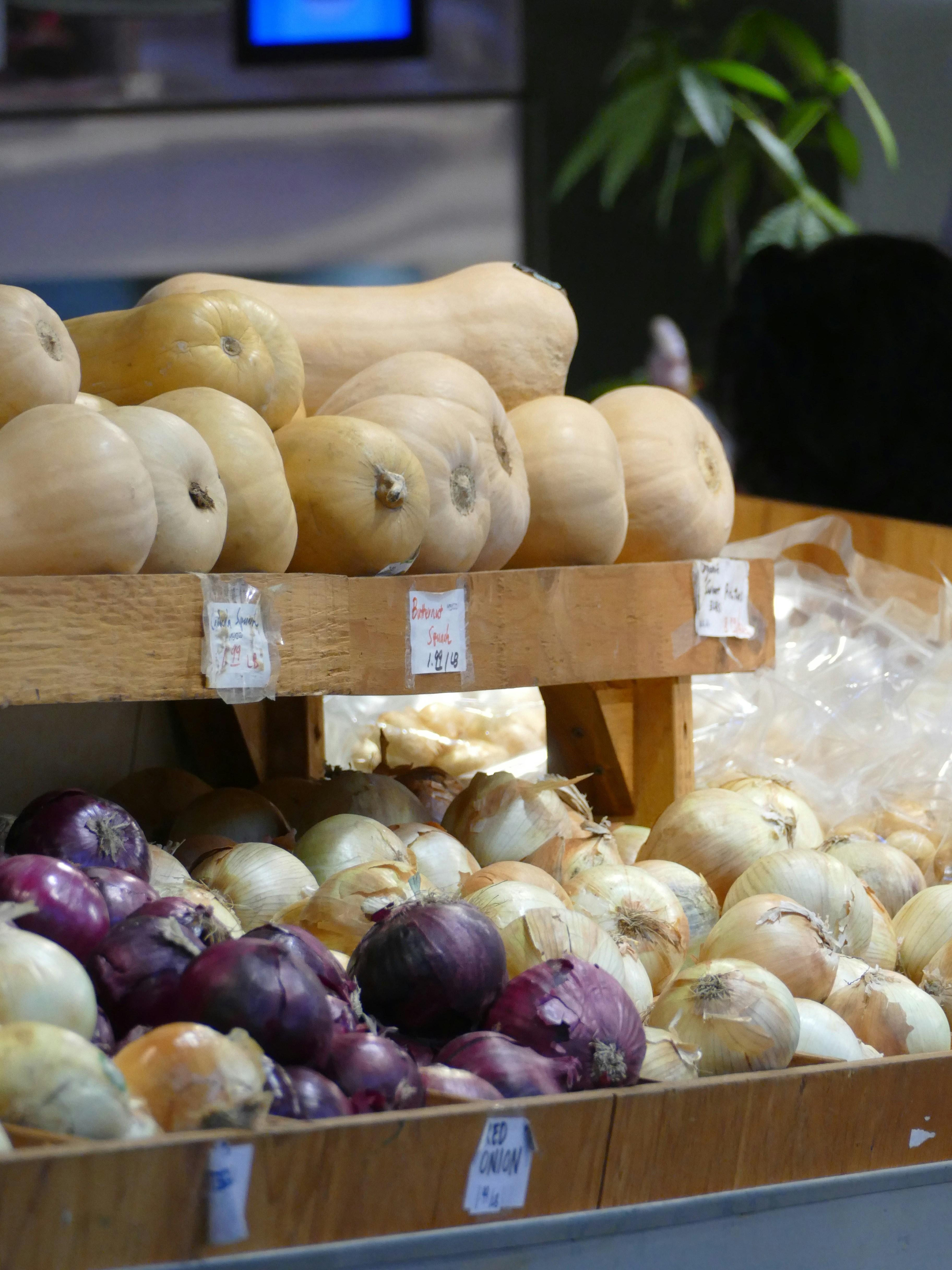 A vibrant display of various onions and squash at a market stall, emphasizing the rich textures and colors of fresh produce.
