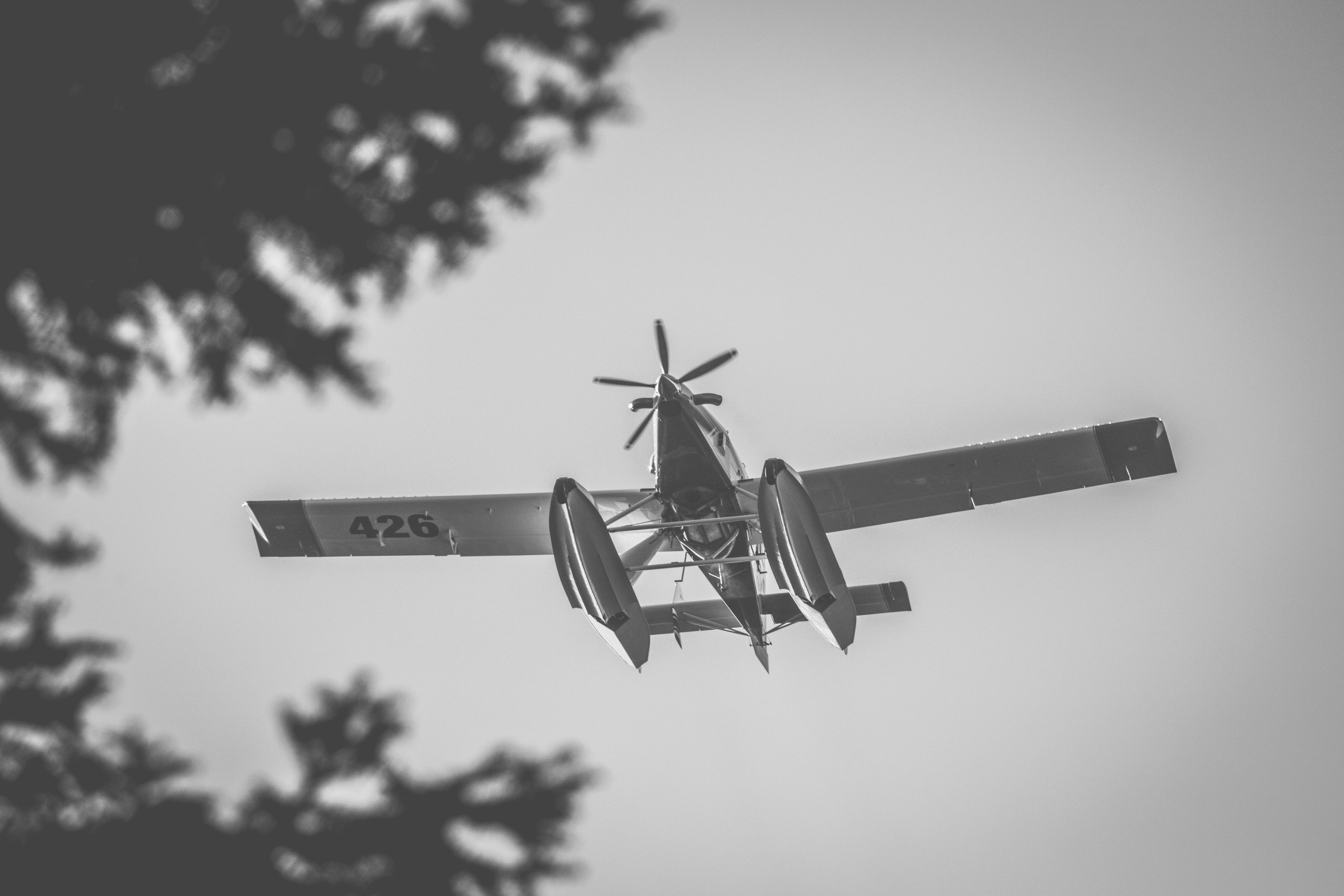 Soaring Above: A Glimpse of Aviation