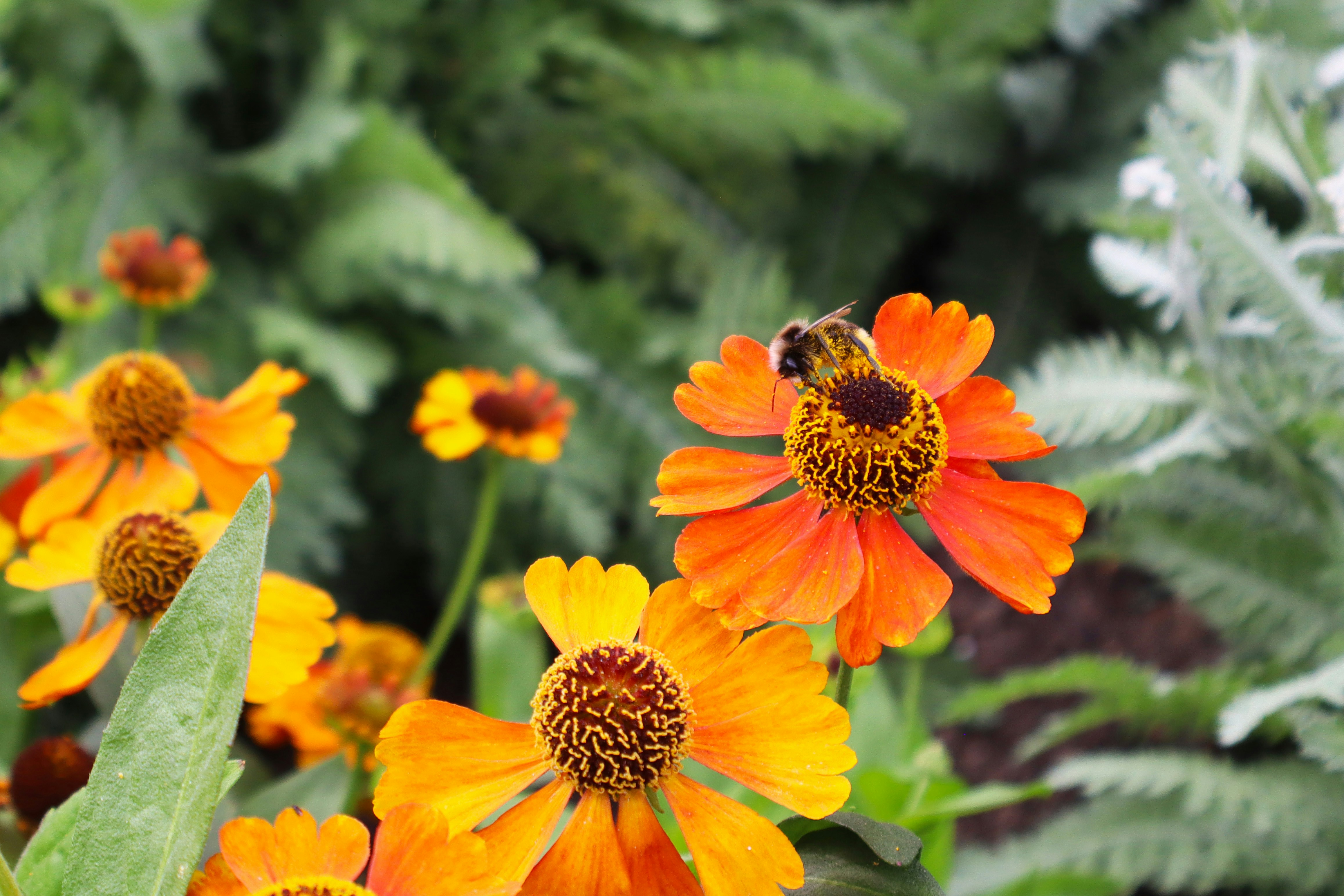 Mirna Wabi-Sabi (@mirnawabisabi) | Unsplash 사진 커뮤니티