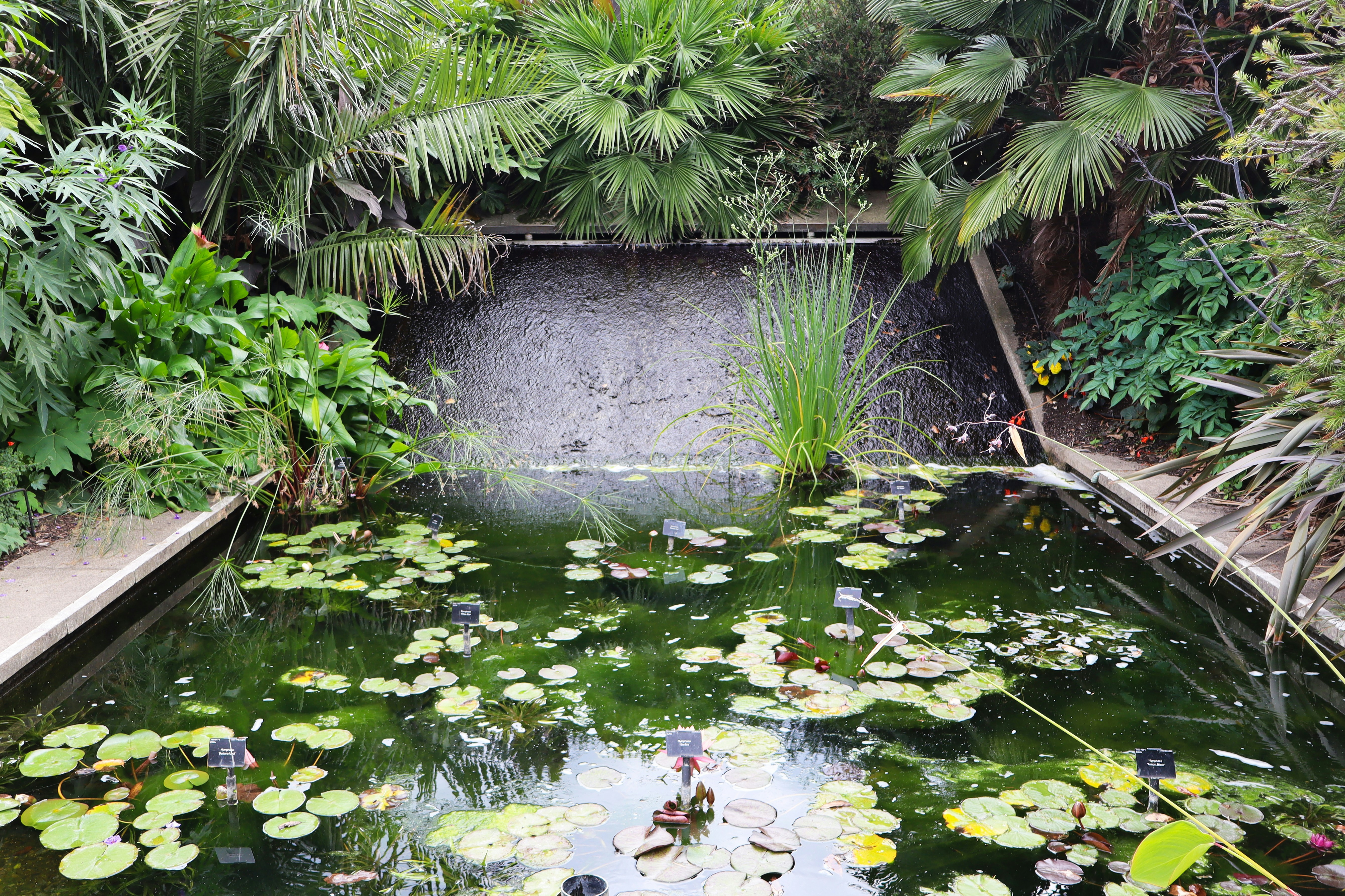 Mirna Wabi-Sabi (@mirnawabisabi) | Unsplash 사진 커뮤니티