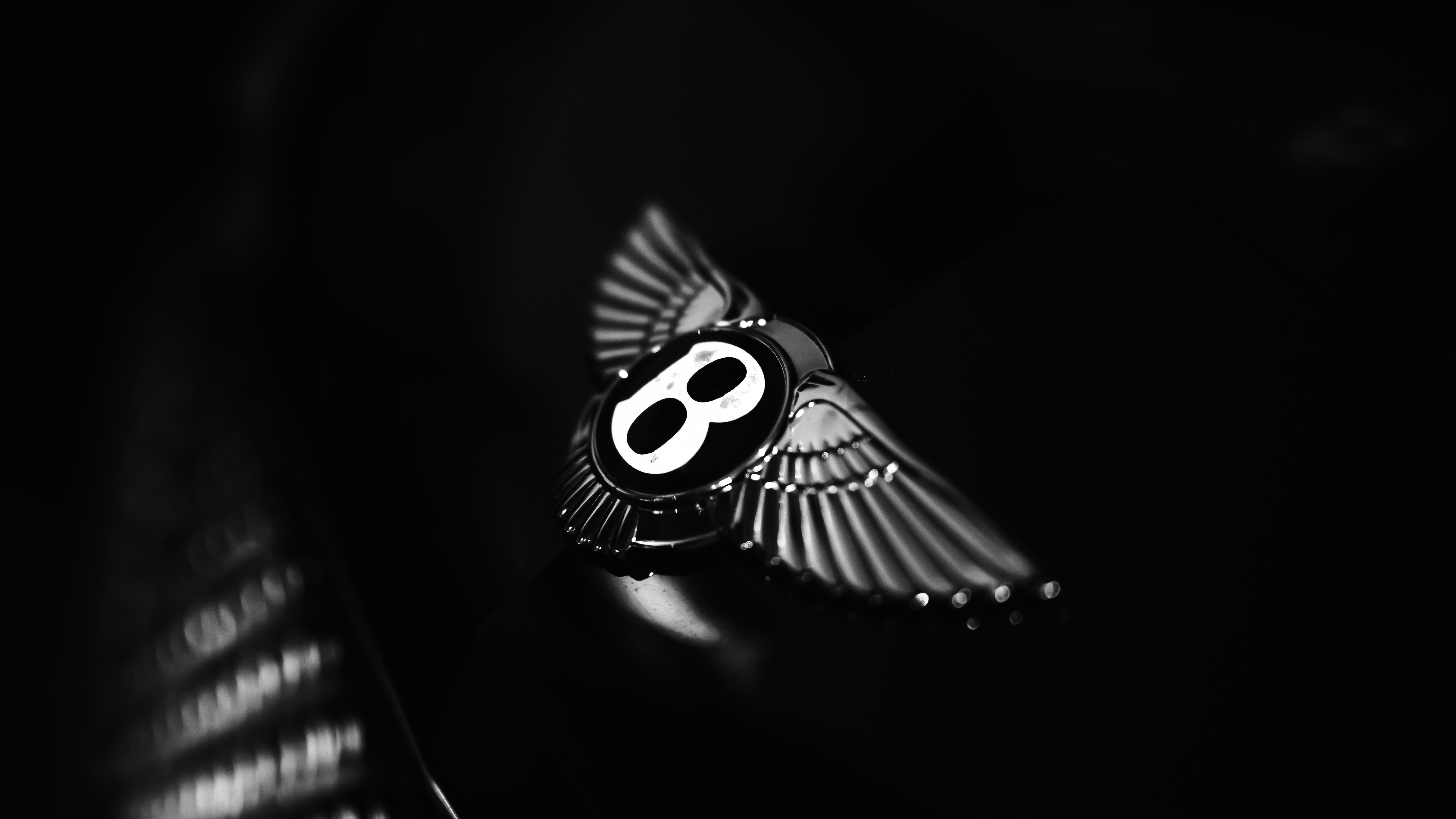 Wings of Elegance: The Iconic Eight