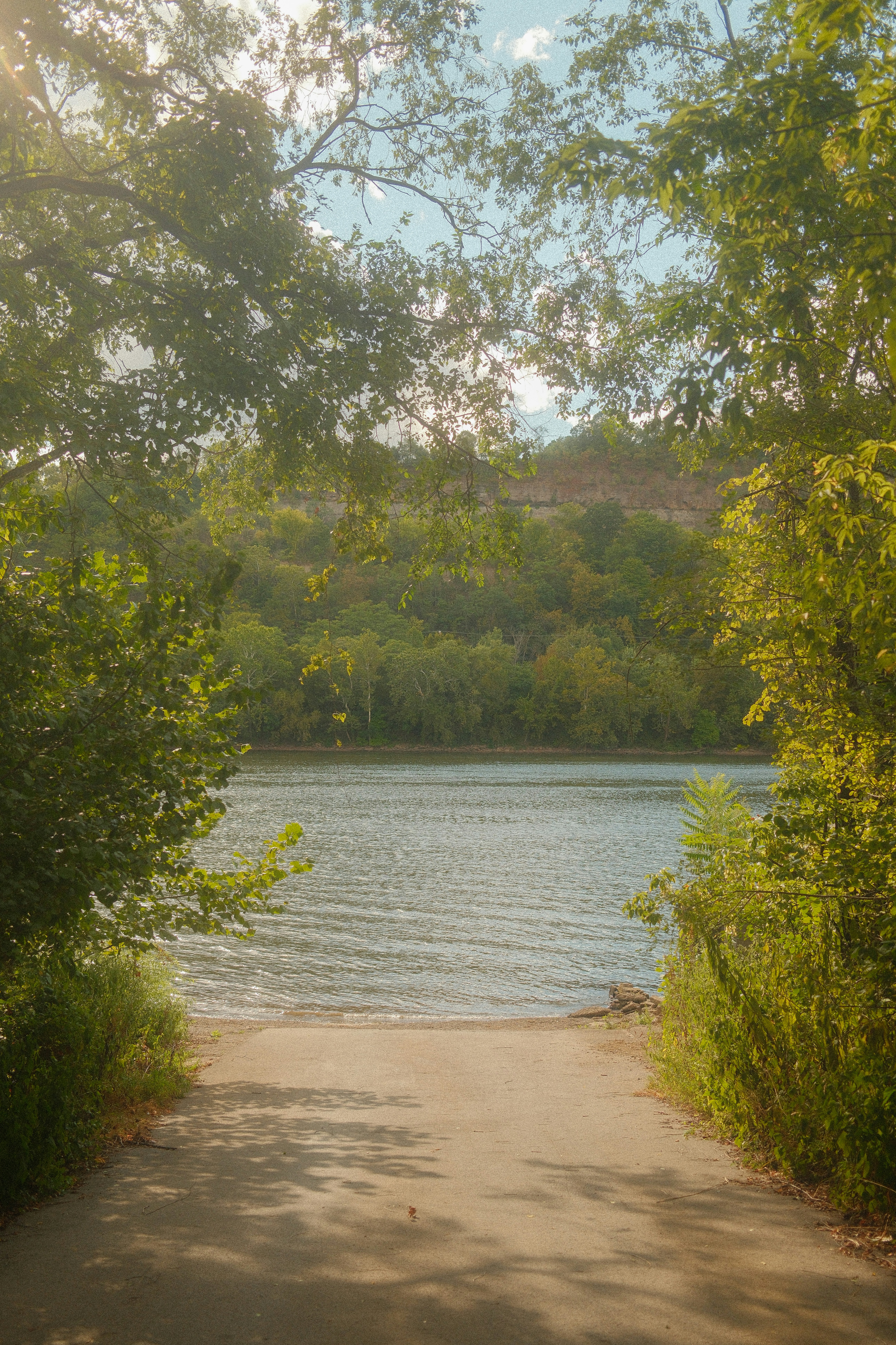 Path to the Quiet Lake: Framed by Overhanging Green