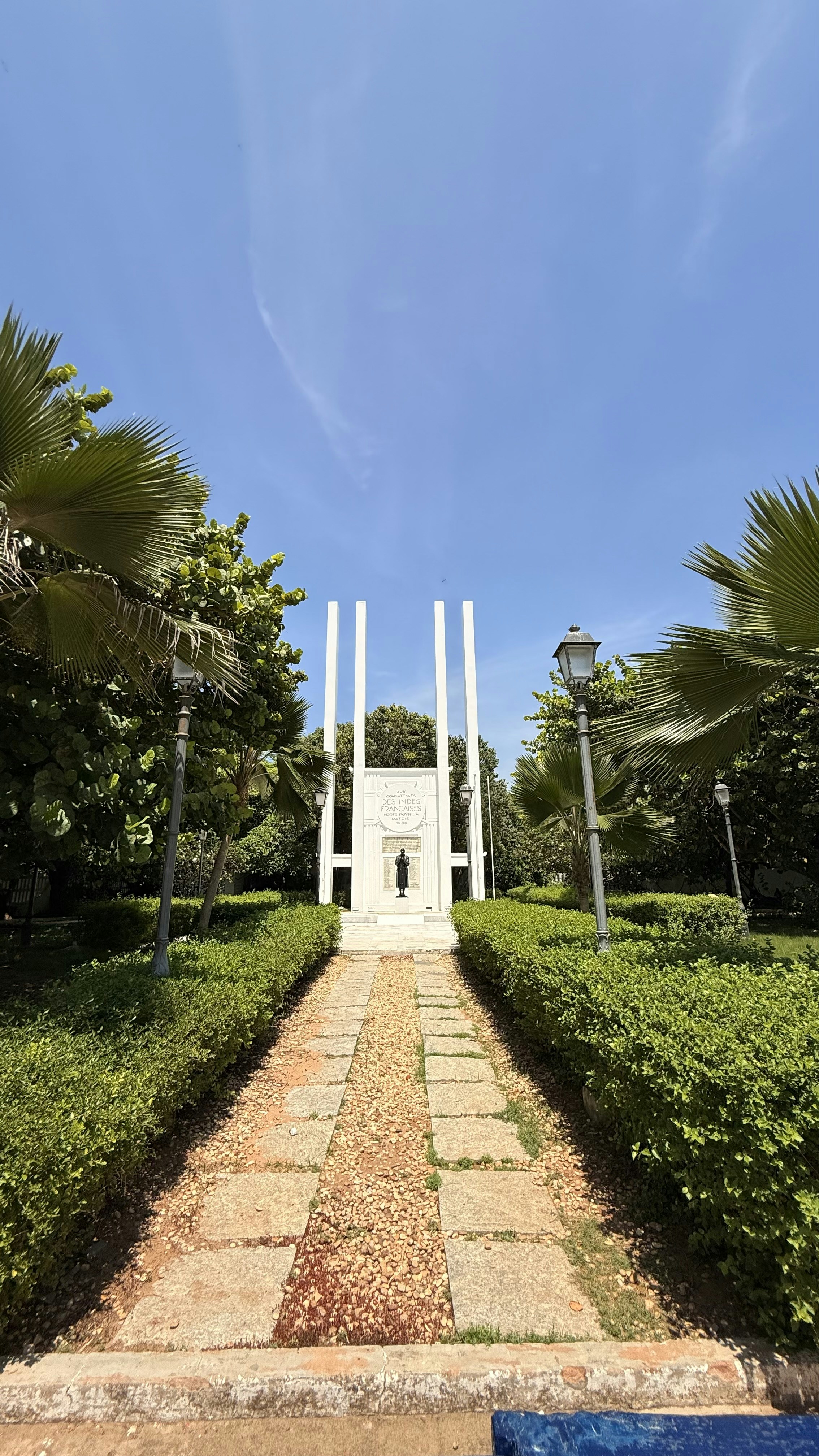 Pathway to Reflection: A Journey Through Greenery