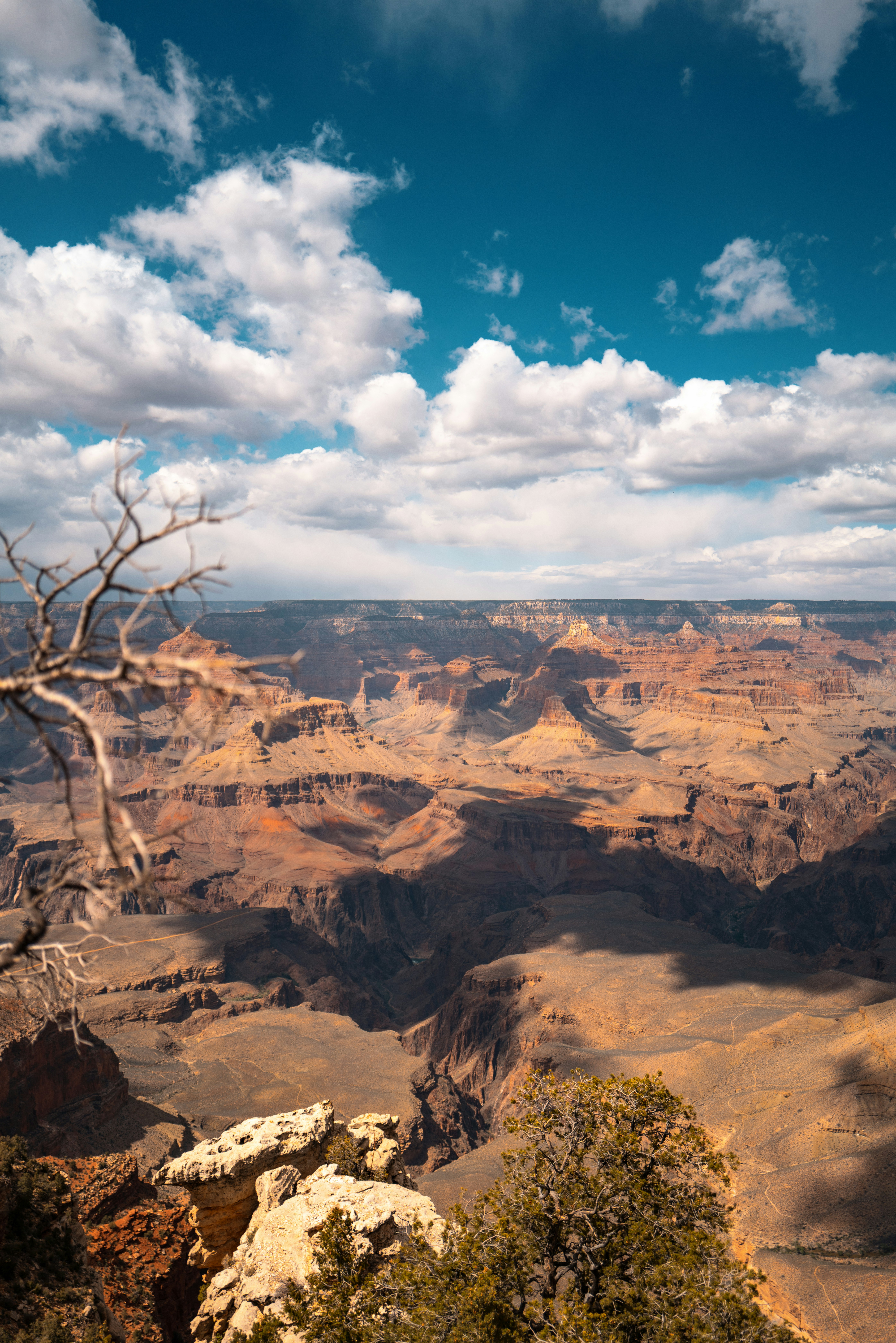 Sunlit Strata: Quiet Vistas along the Grand Canyon Rim
