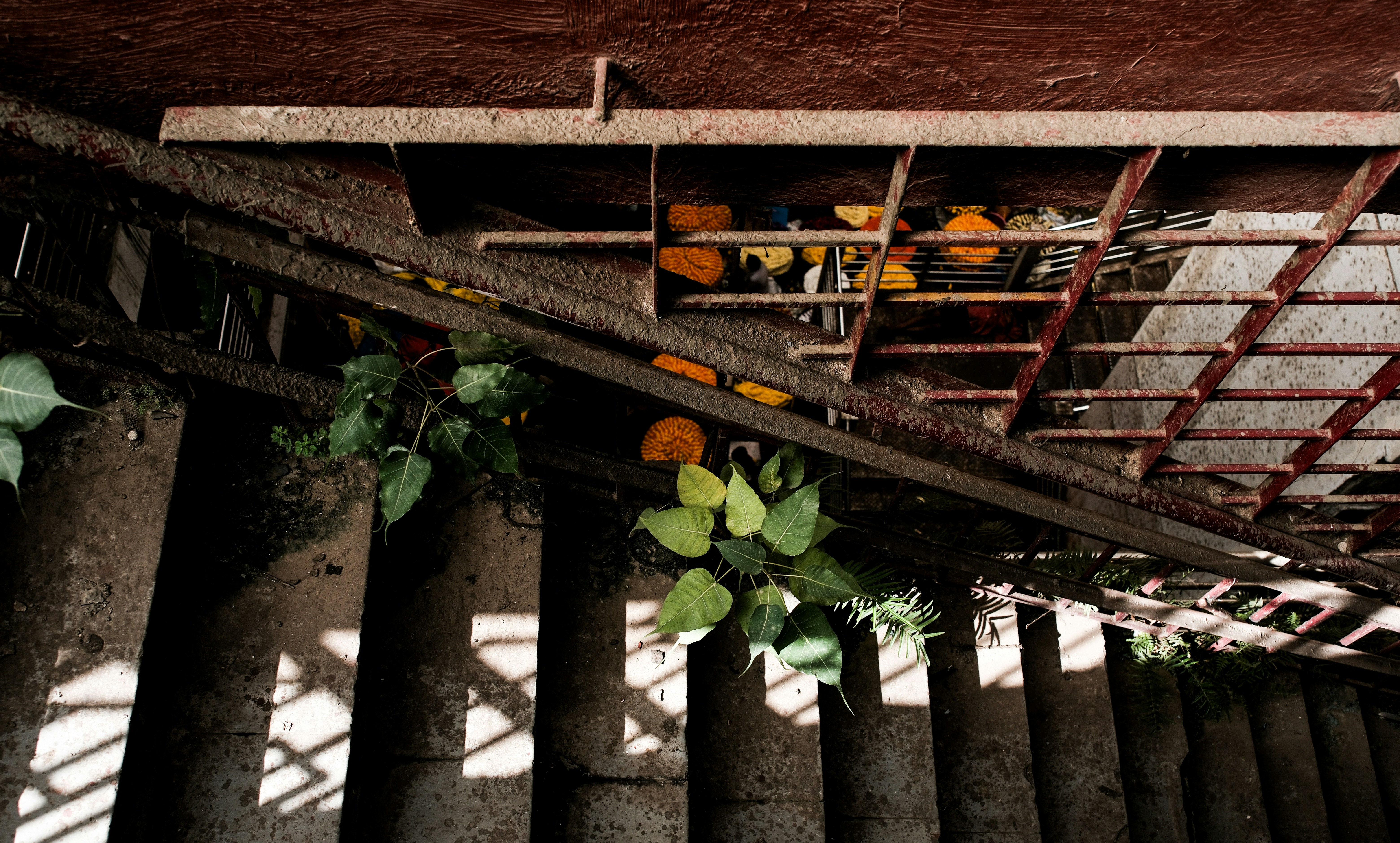 Overgrown Staircase Through a Grated Balcony