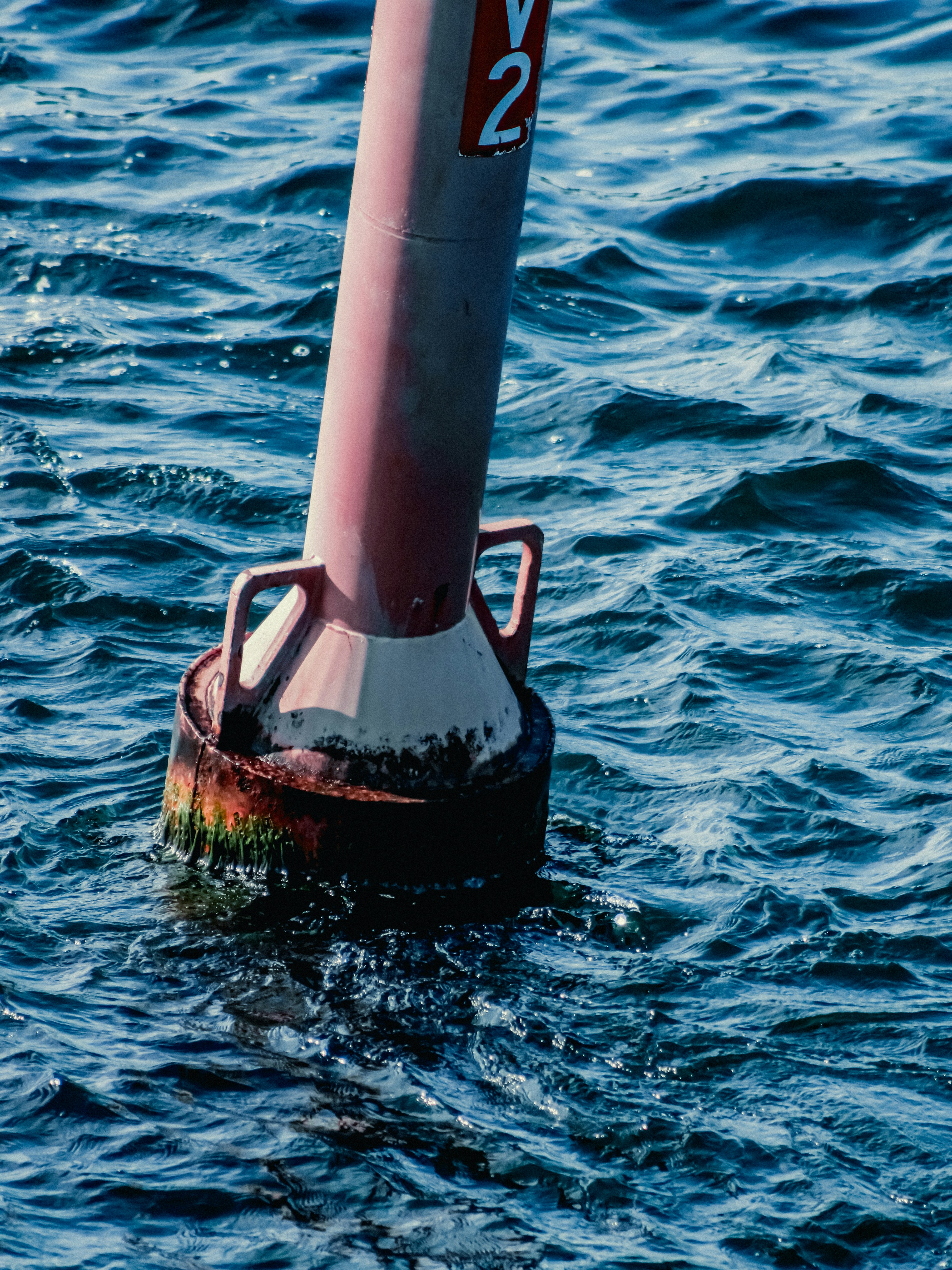 Buoy's Resilience Amidst the Waves