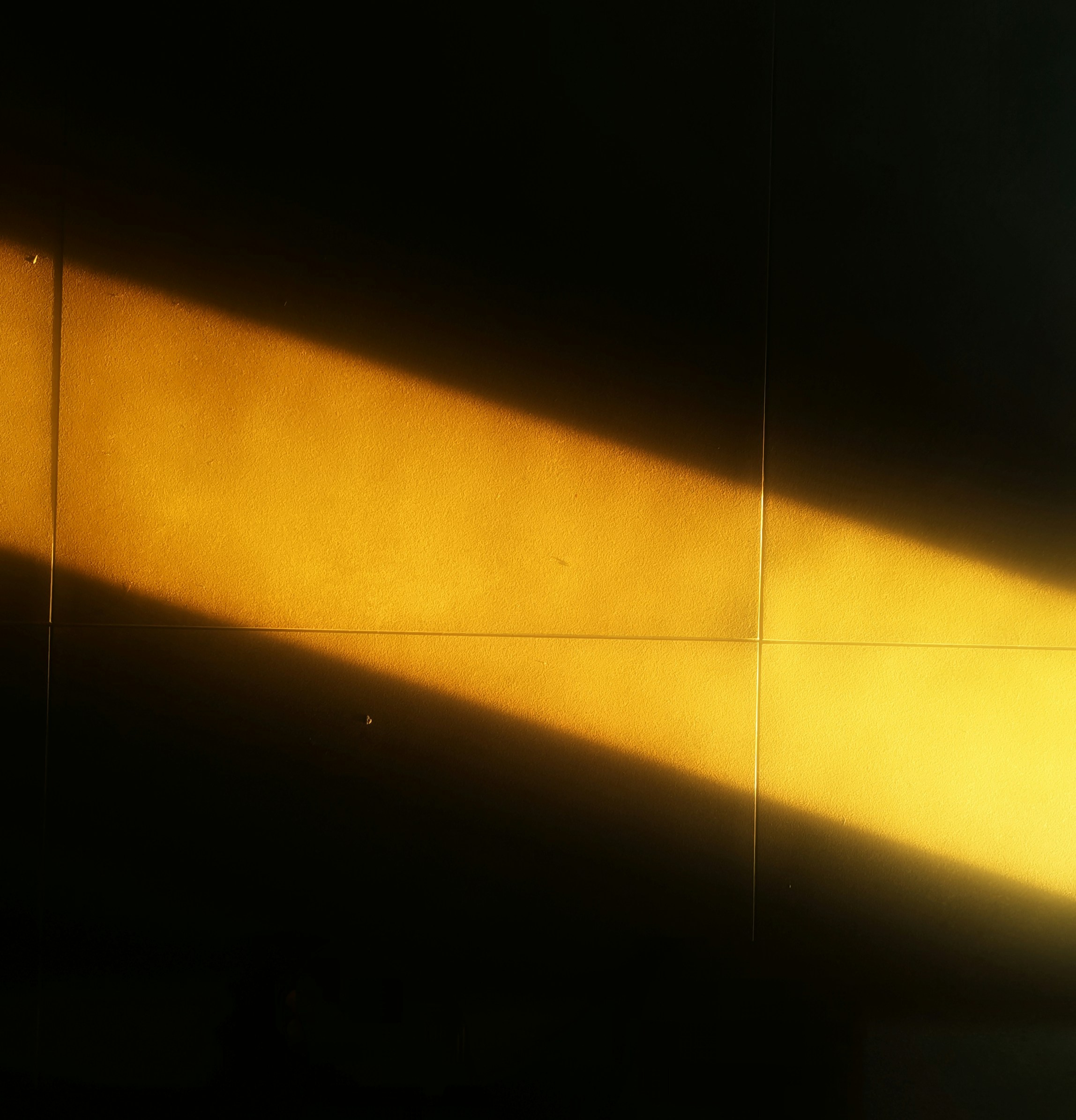 Sunlight streaming across a tiled wall