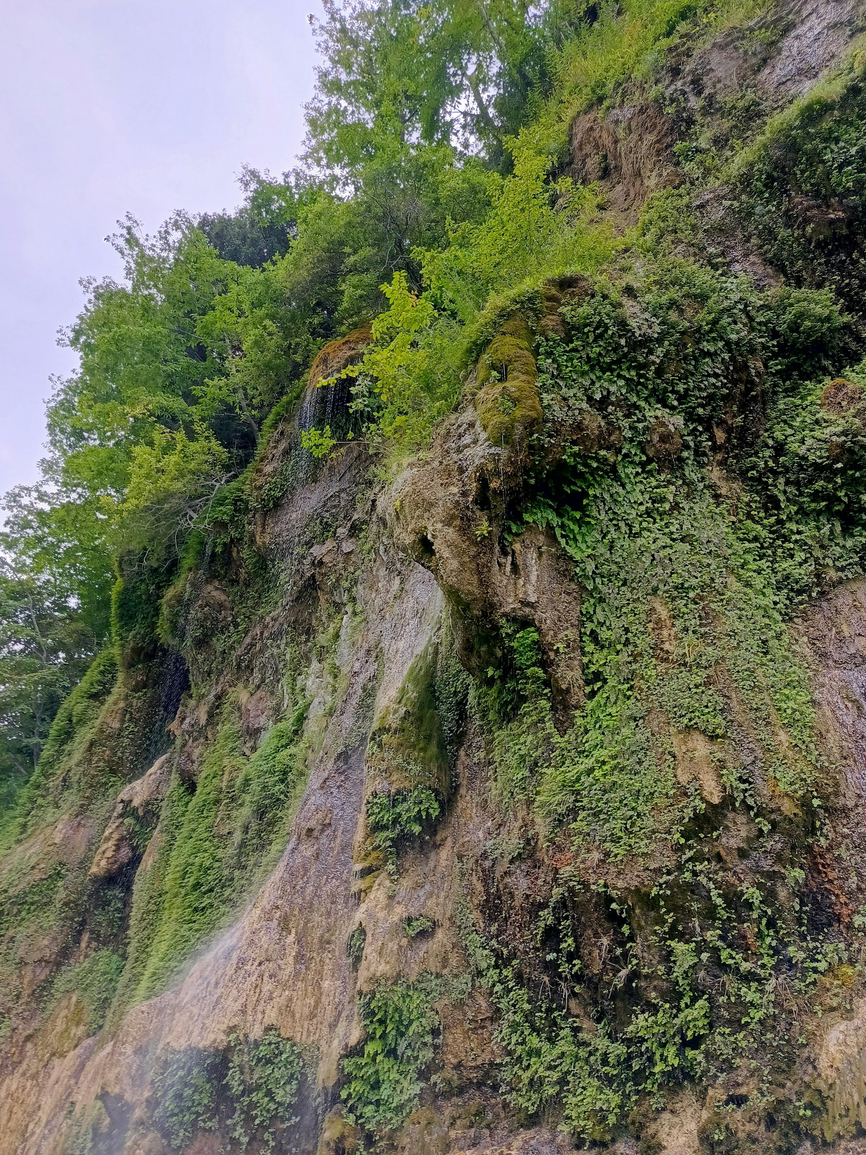 Lush green trees and vegetation cover a rocky cliff face.