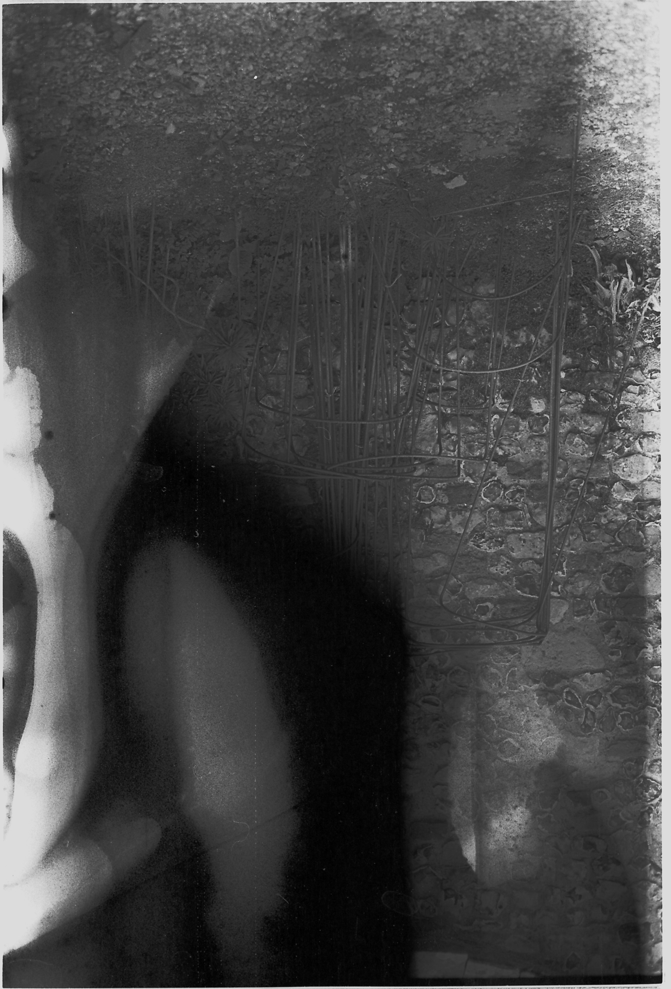 Abstract composition featuring intertwined shadows and textures, evoking a sense of mystery and desolation.