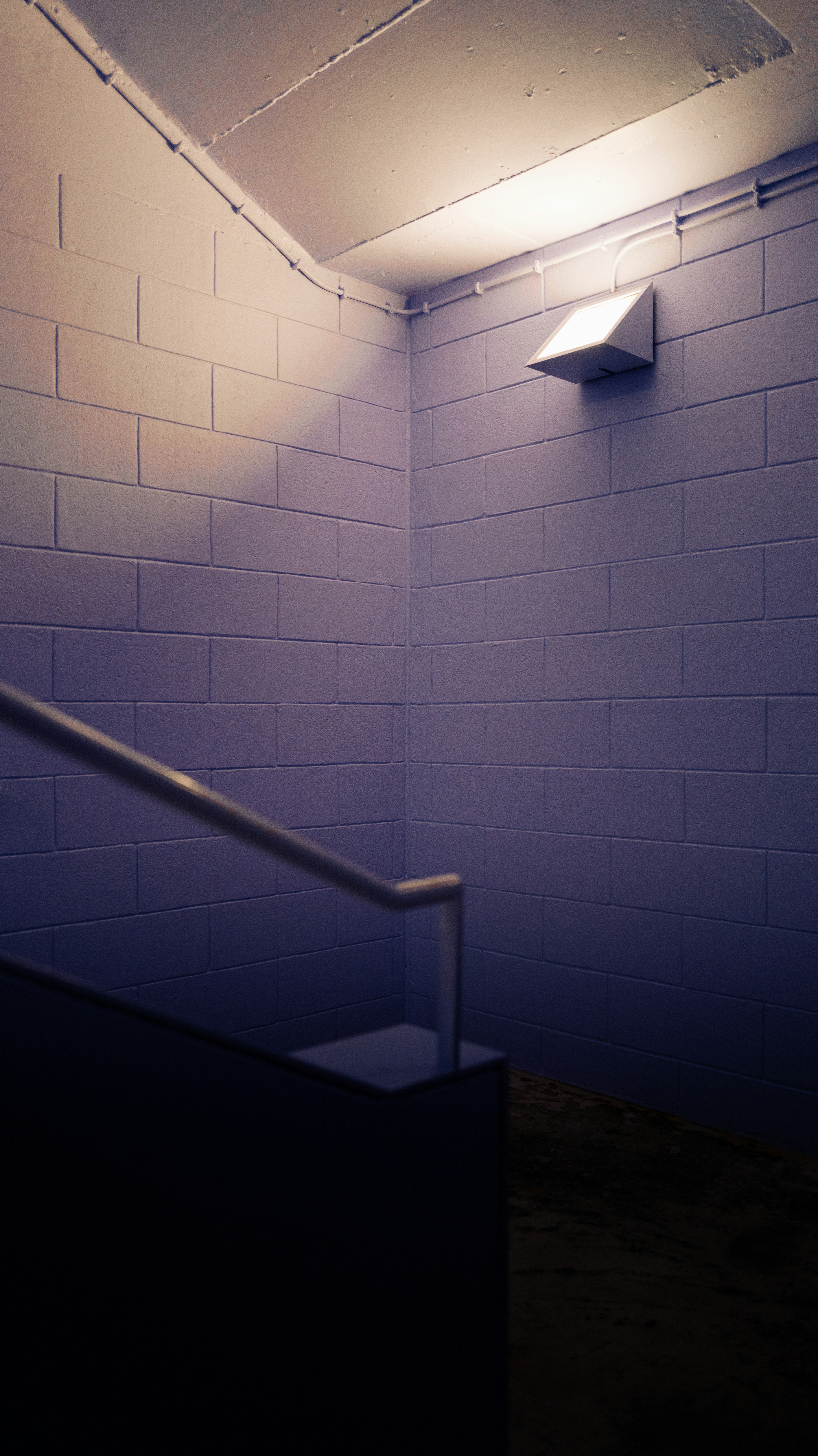 Illuminated Pathway: A Study in Shadows and Light