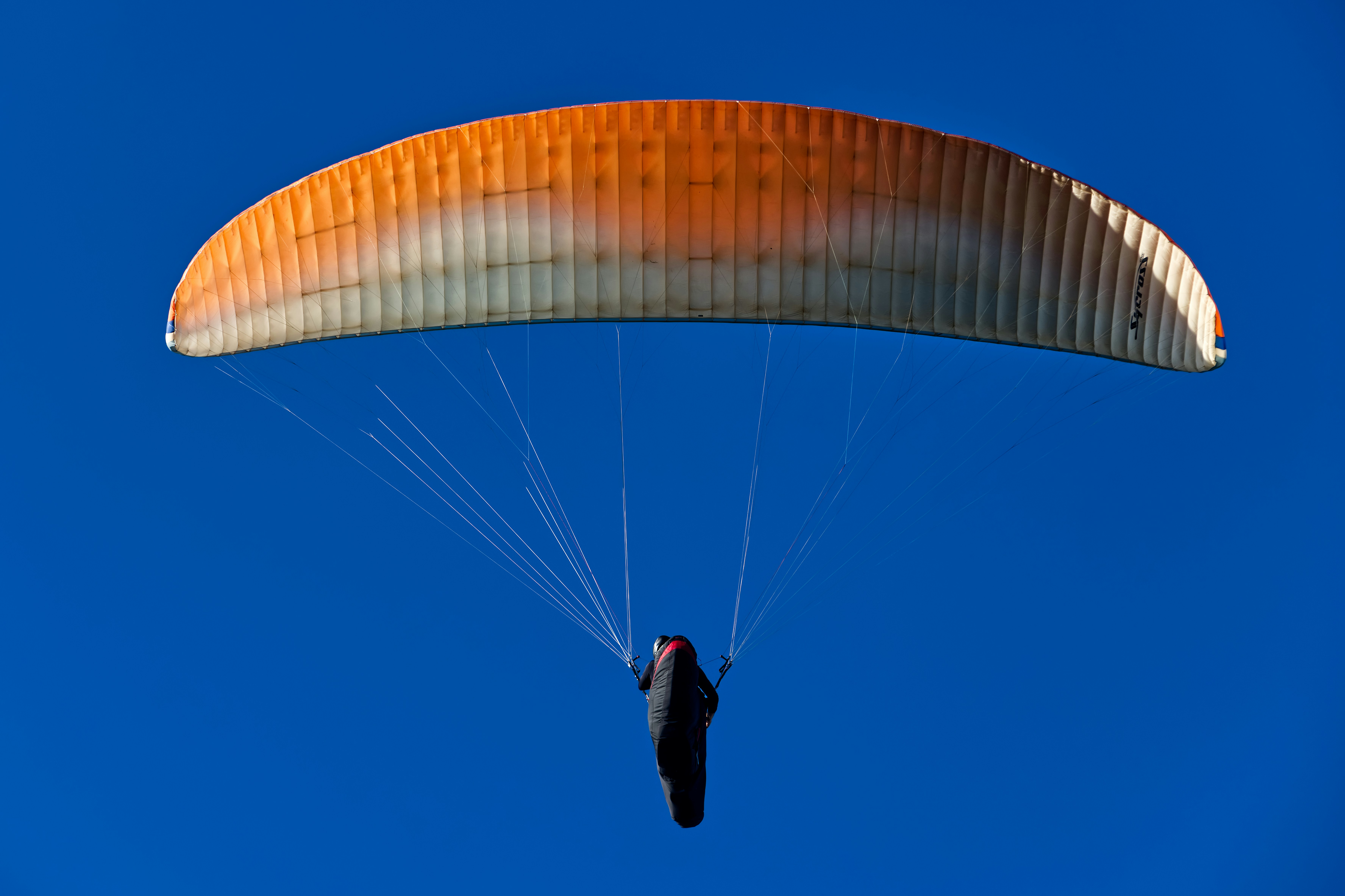 Soaring Serenity: The Art of Paragliding