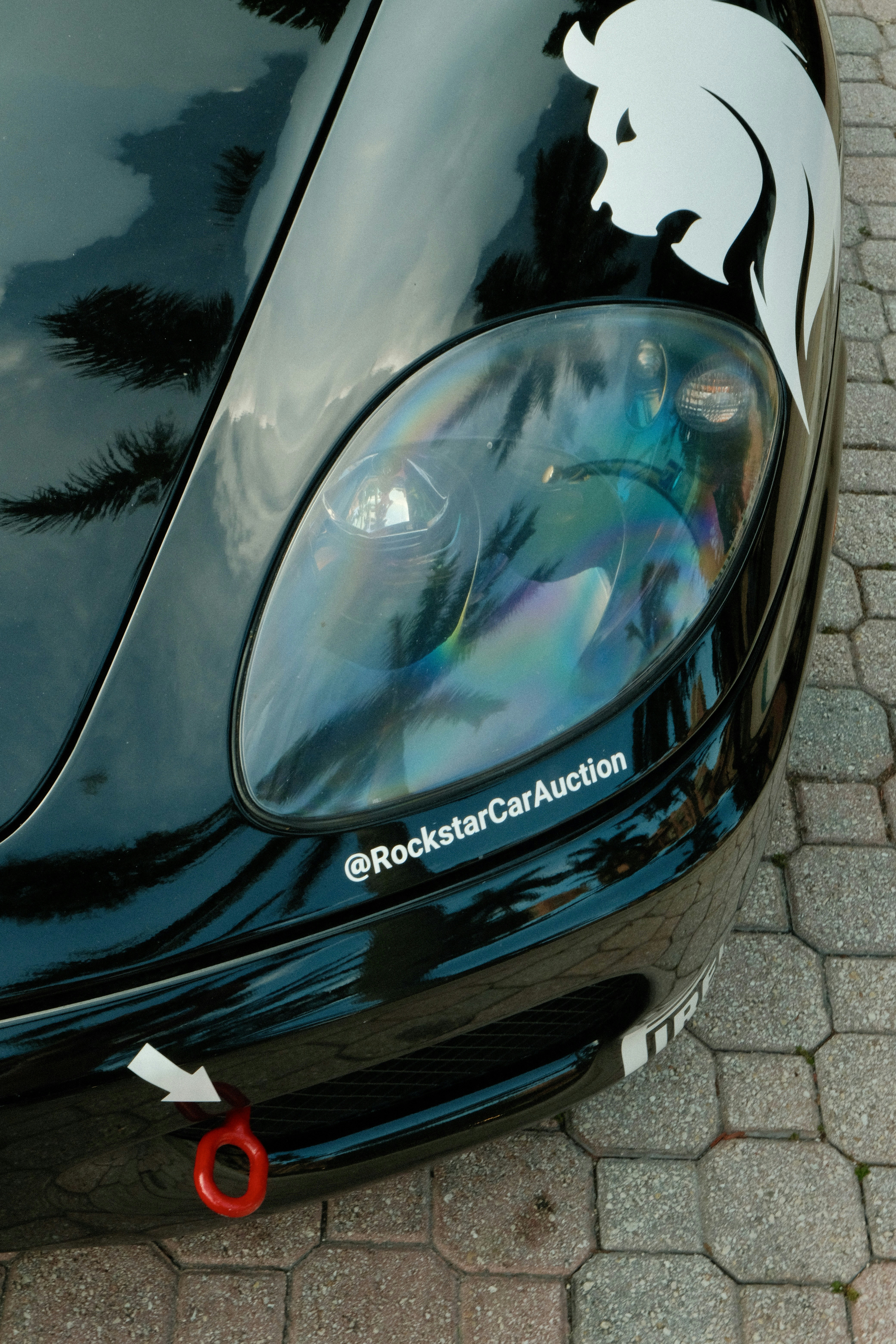 The Roaring Elegance of Automotive Artistry