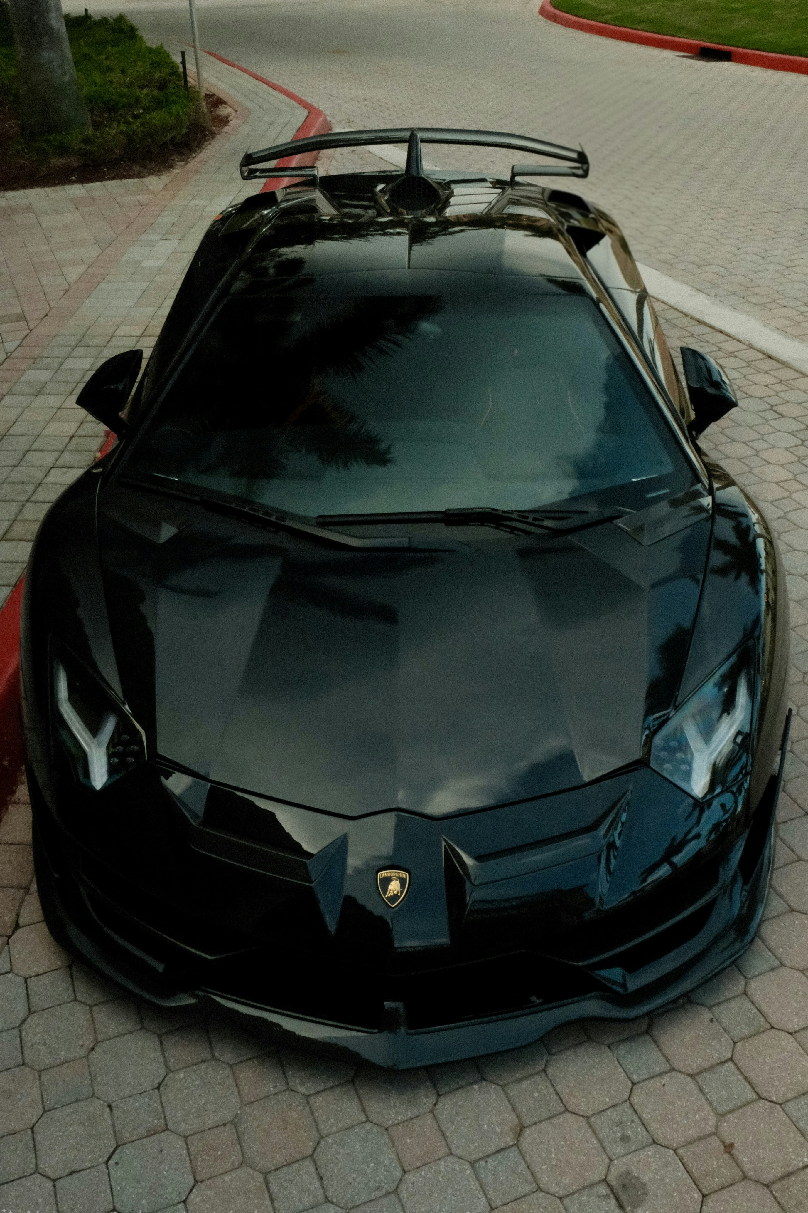 Midnight Predator: The Apex of Automotive Design