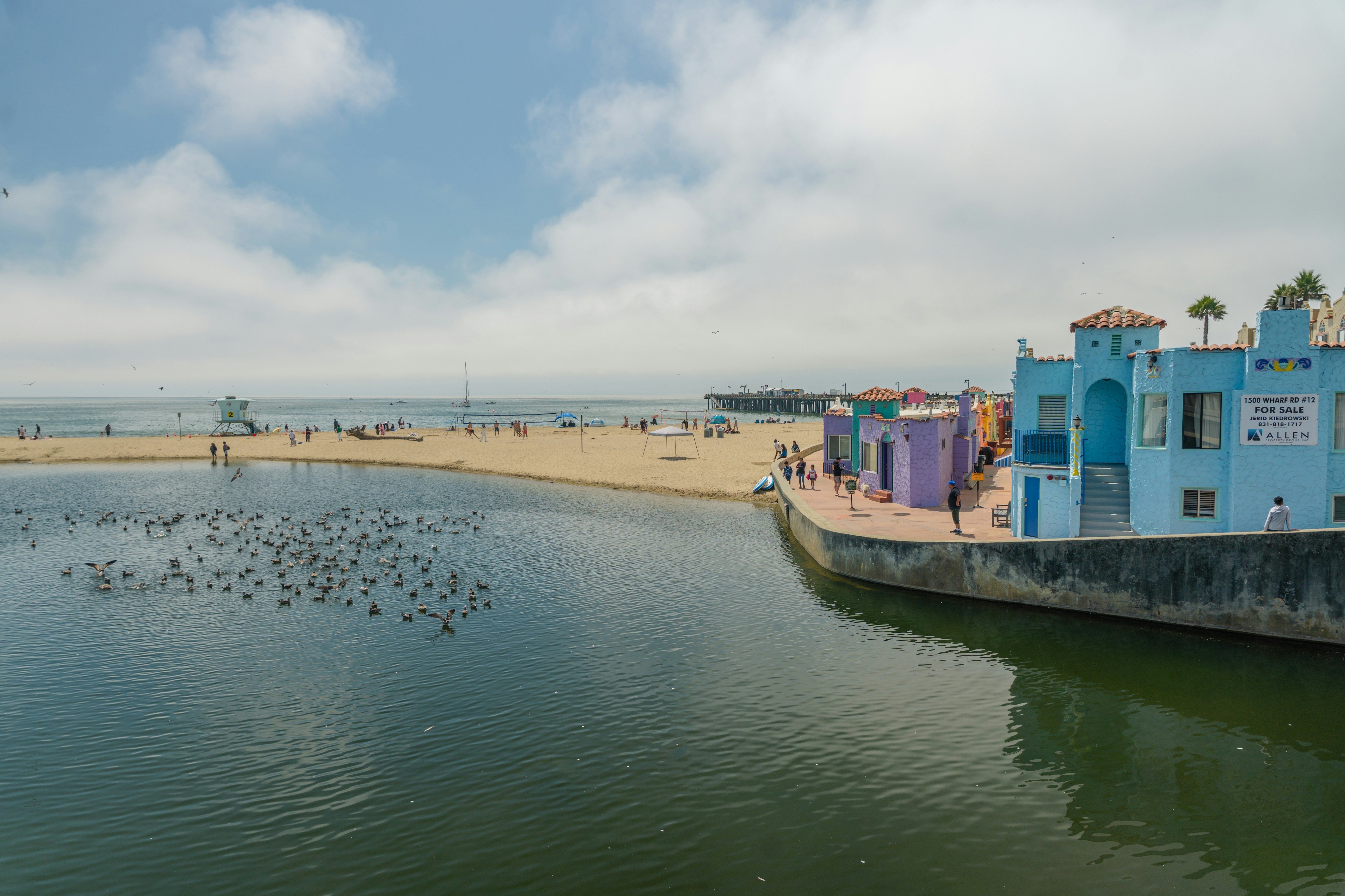 Colorful buildings line the shore near a tranquil lagoon filled with birds, capturing a lively coastal atmosphere. The scene invites viewers to experience the blend of nature and community.