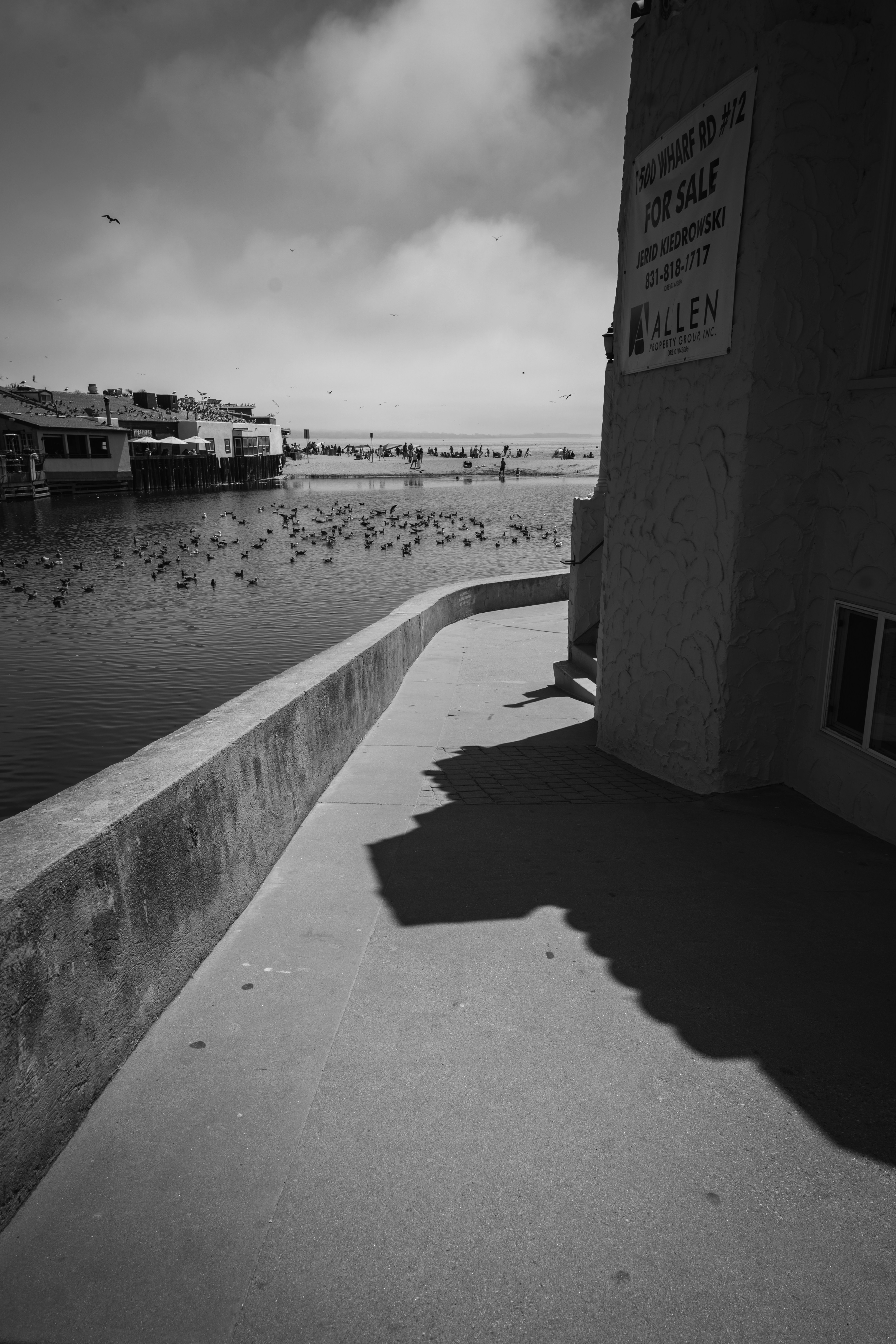 Reflections of a Coastal Escape