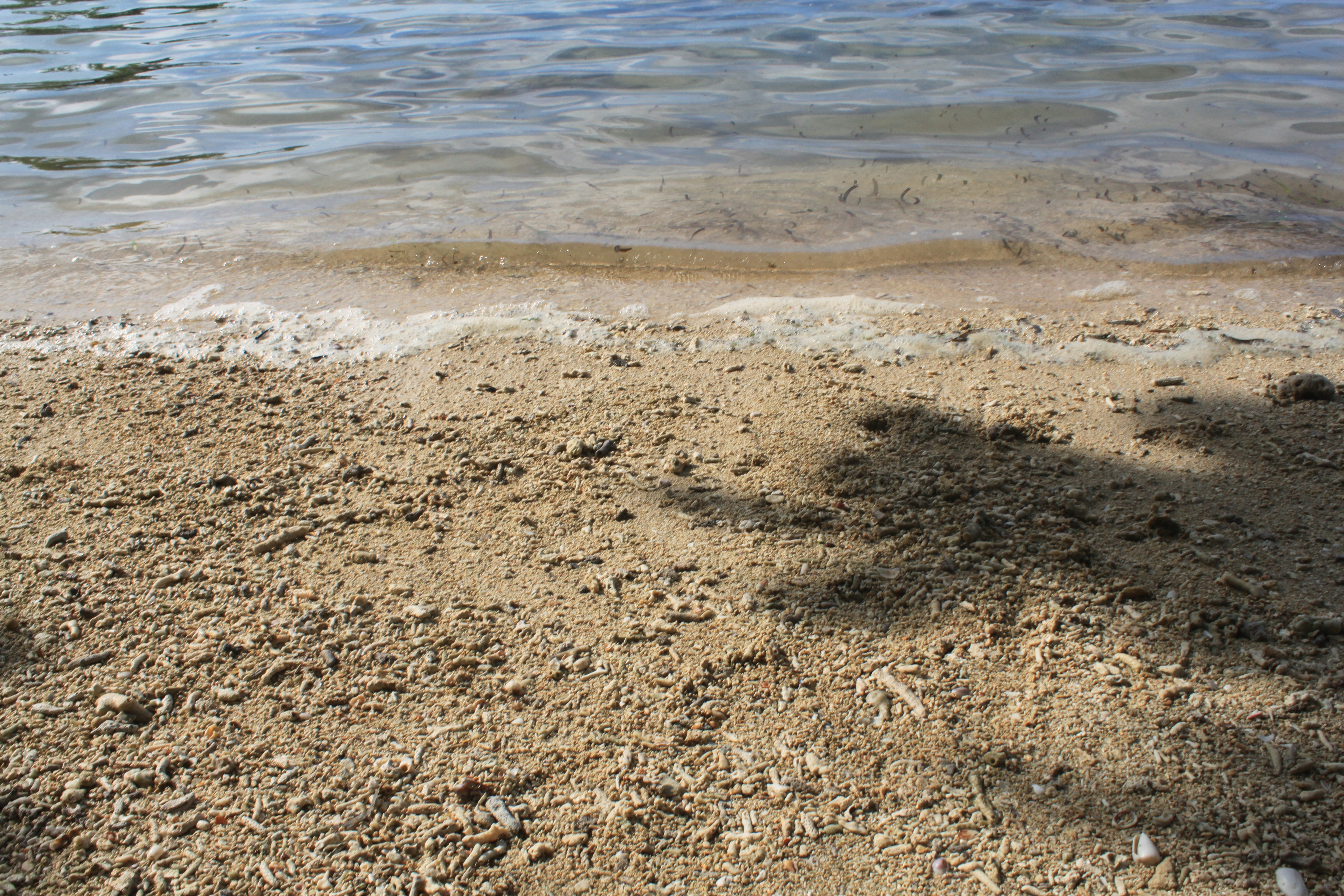 Gentle waves lapping at a sandy beach, with shadows cast by nearby foliage. The tranquil scene captures the essence of a serene waterfront.