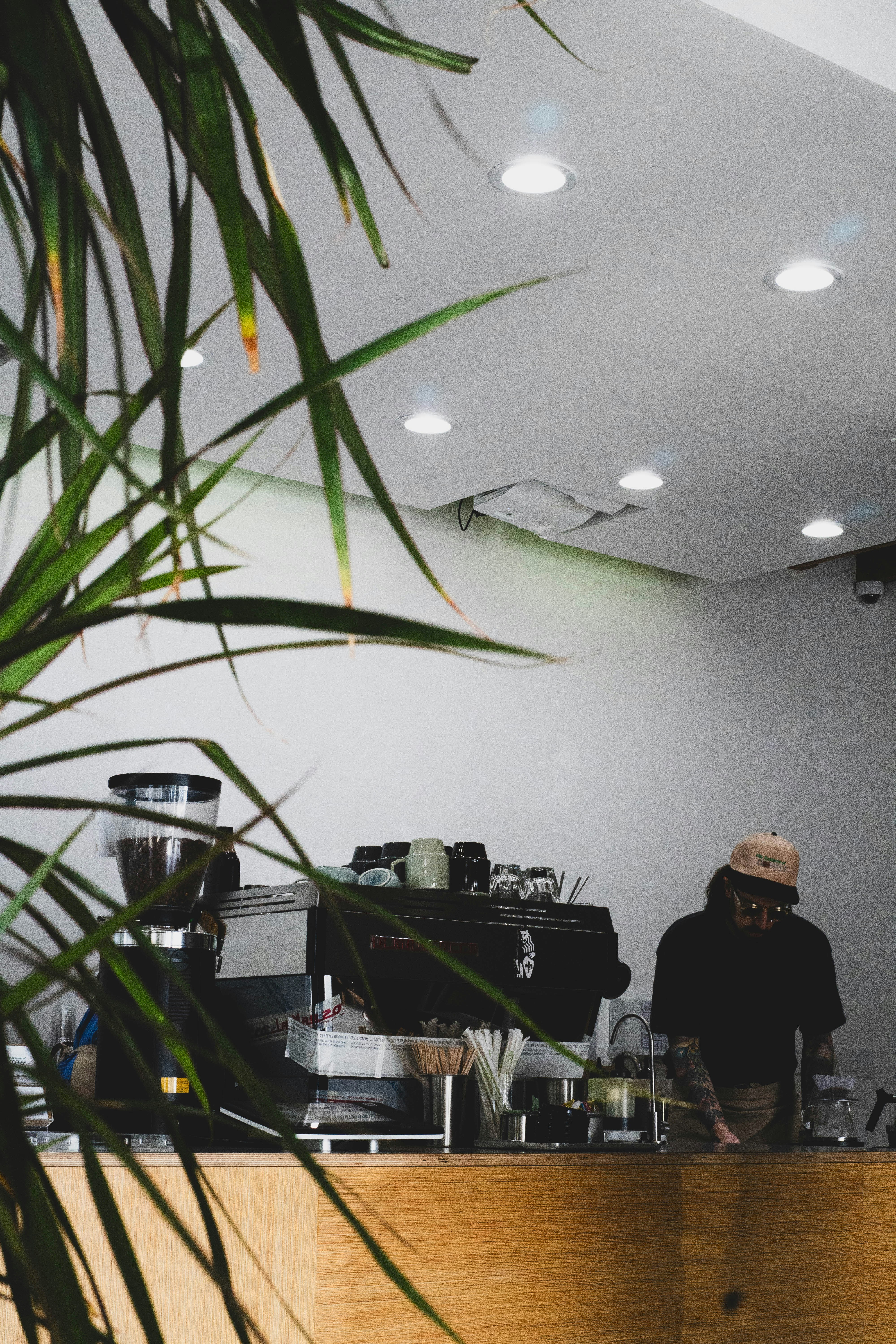 A barista at work in a modern café, surrounded by tools of the trade and lush greenery. The scene captures the essence of a tranquil coffee-making experience.